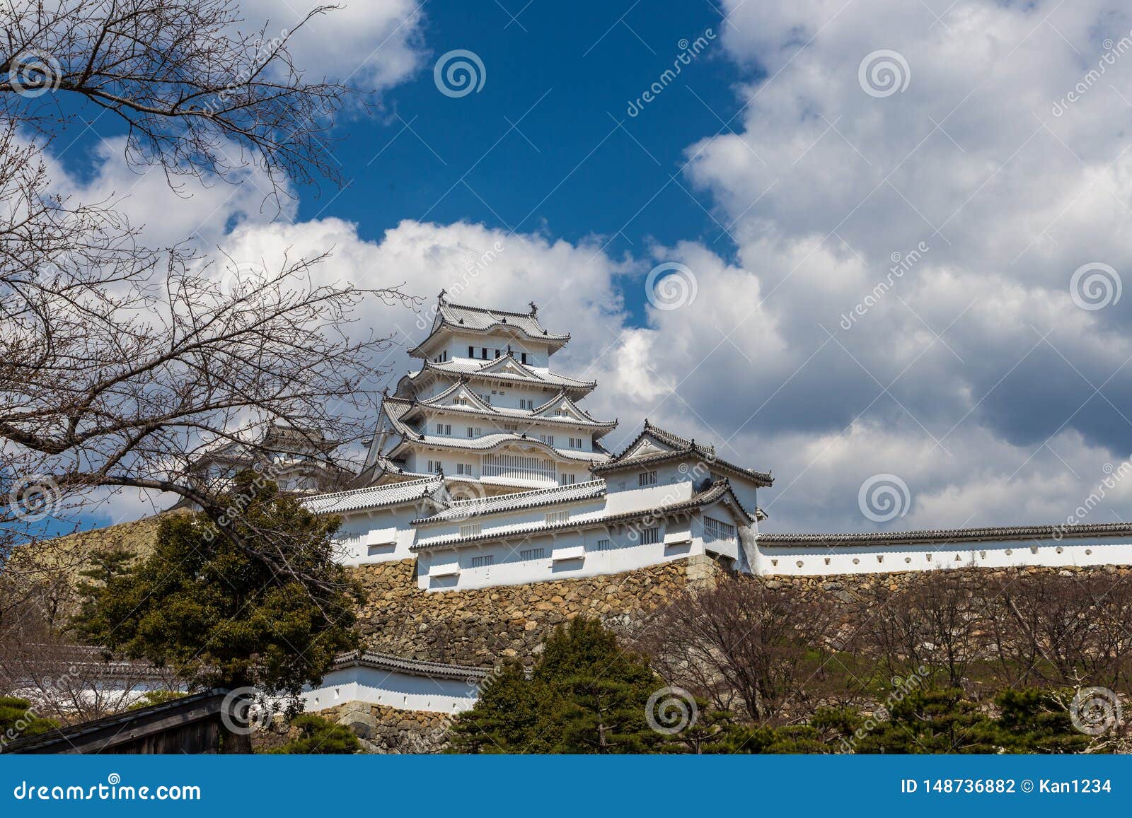Hemeji Castle in Spring with Pink Sakura, Kansai, Japan Editorial ...