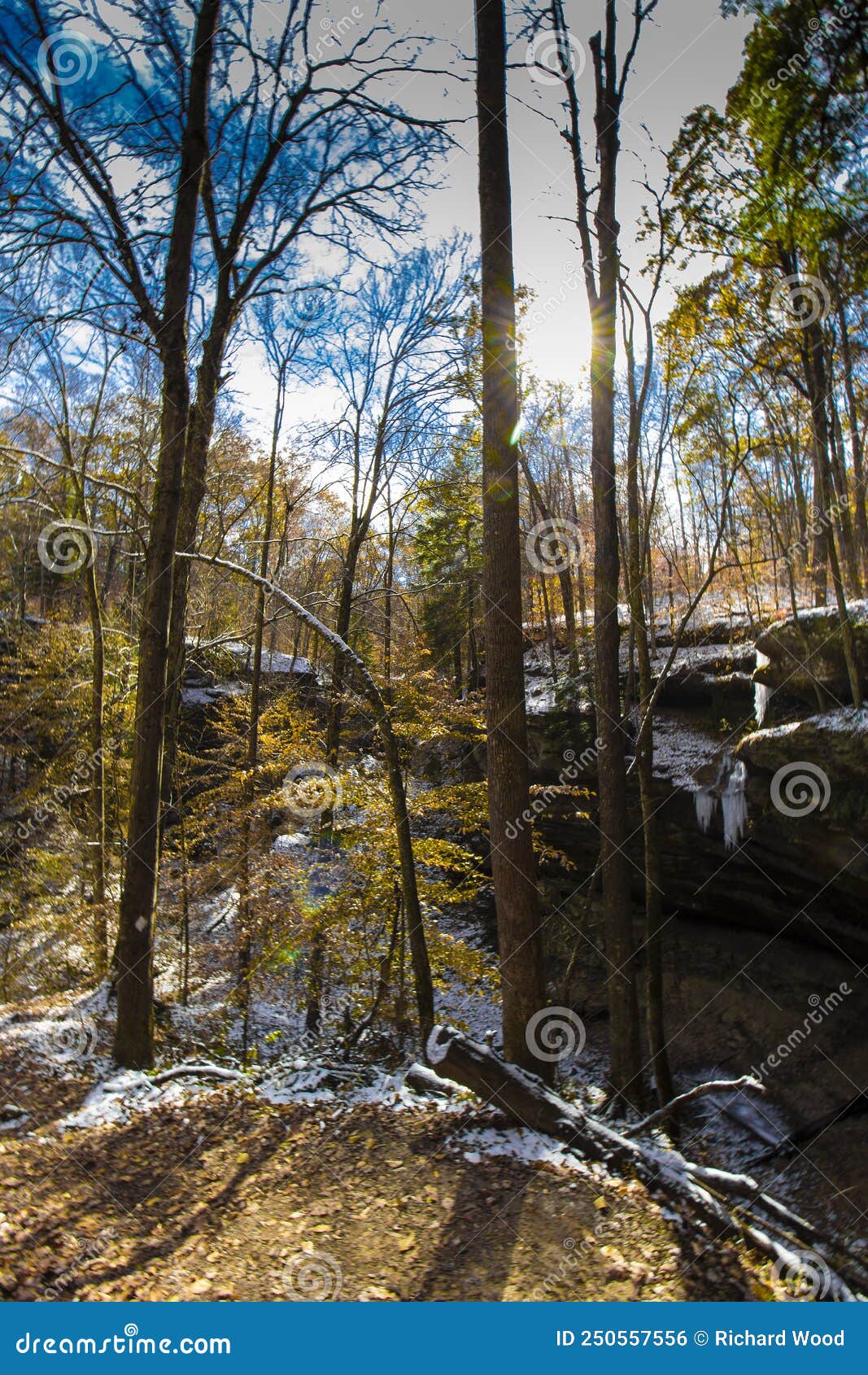 Hemlock Cliffs in Autumn after a Light Snow, Indiana Stock Photo ...