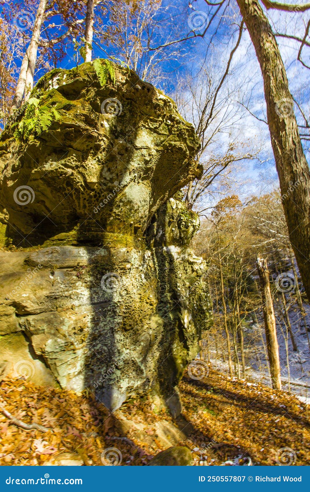 Hemlock Cliffs in Autumn after a Light Snow, Indiana Stock Image ...