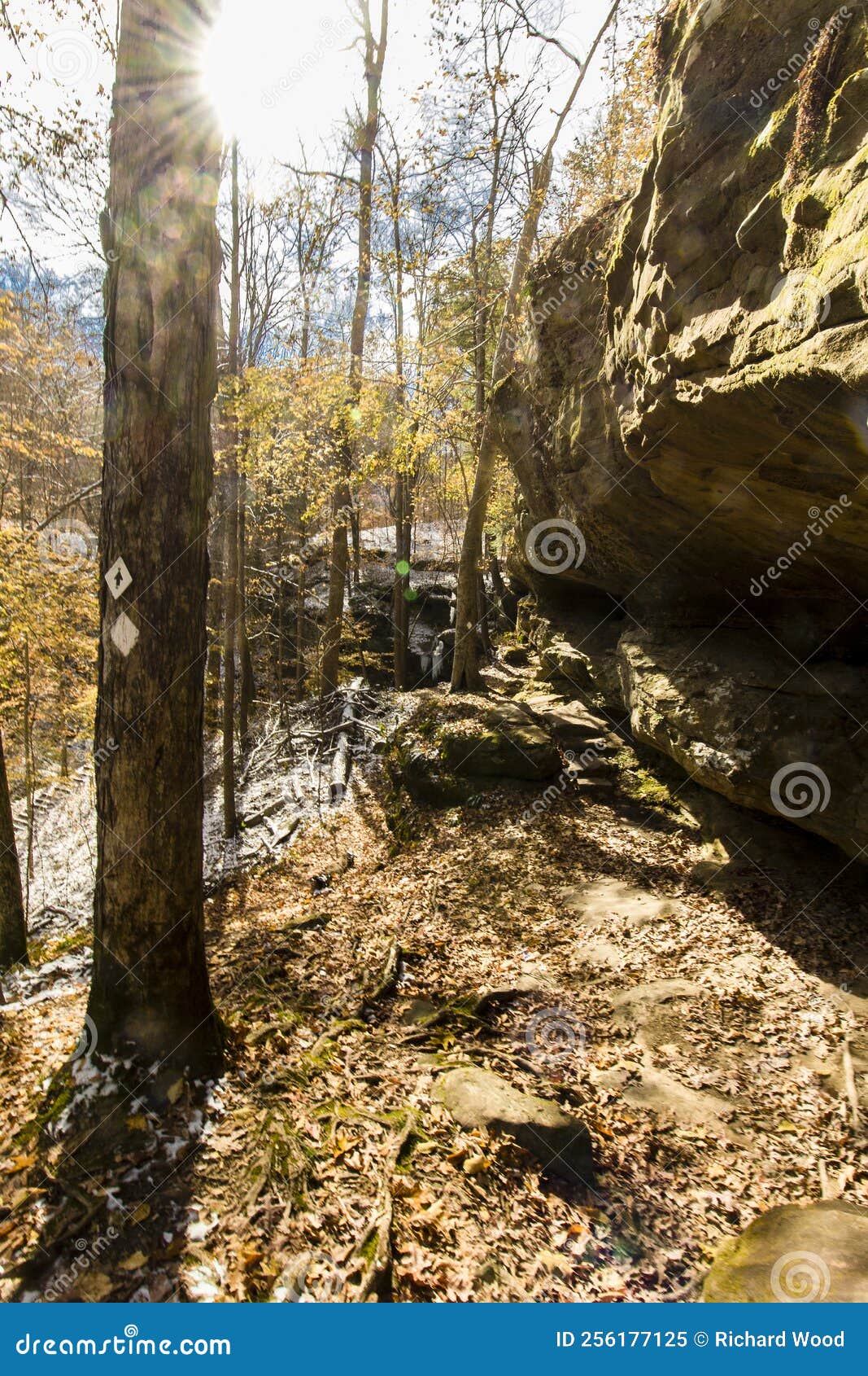View of Hemlock Cliffs in Autumn after a Light Snow, Indiana Stock ...