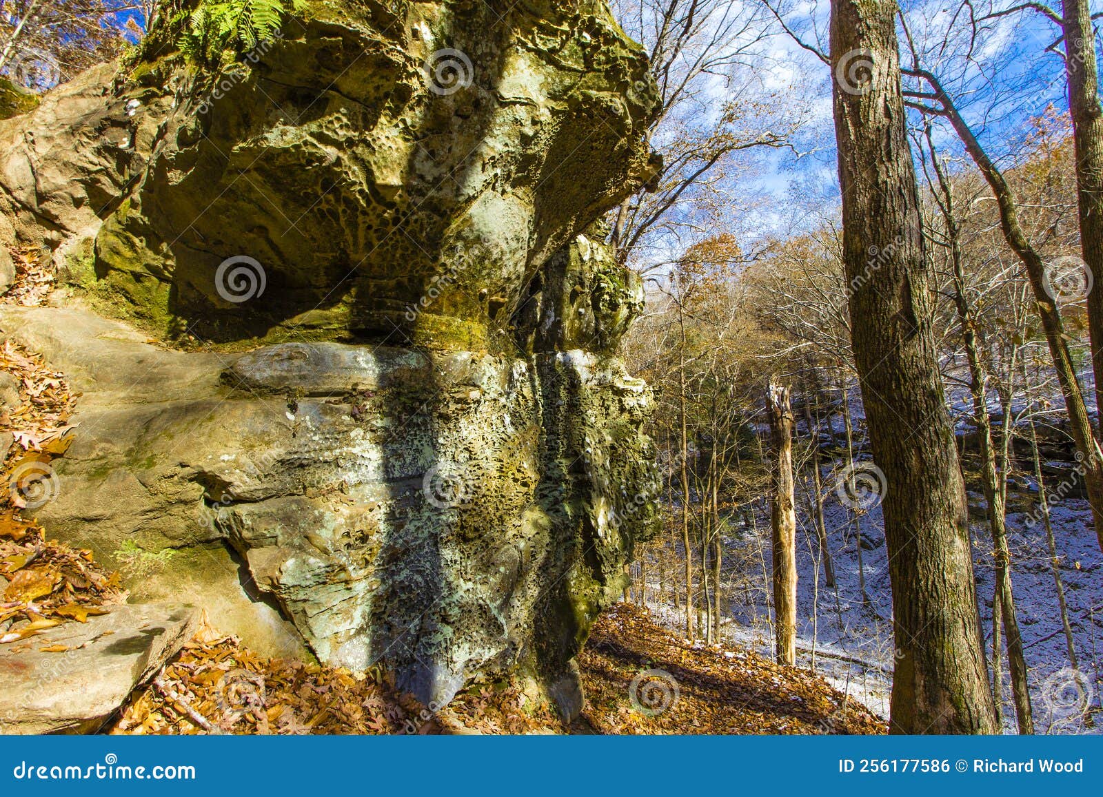 View of Hemlock Cliffs in Autumn after a Light Snow, Indiana Stock ...