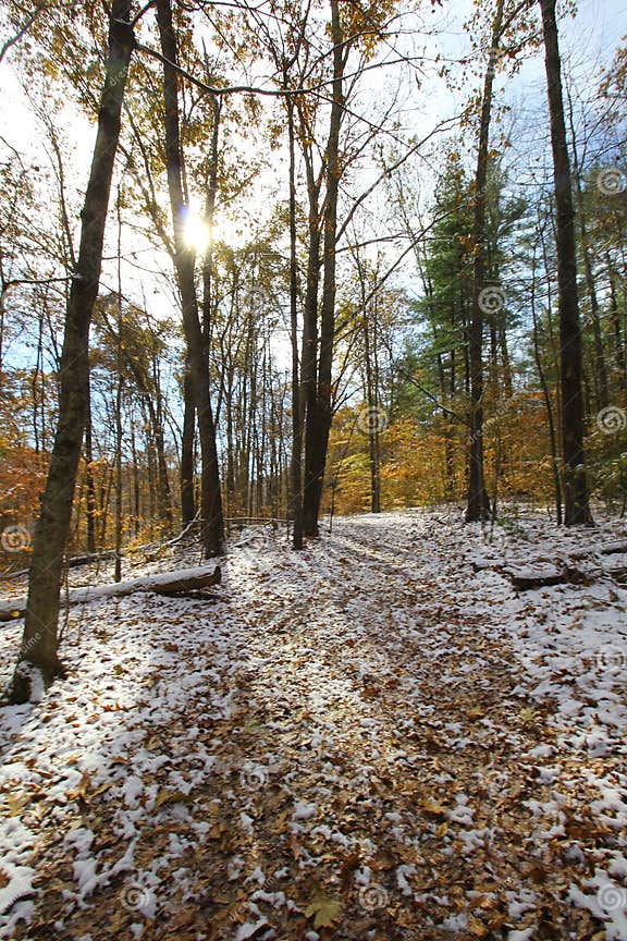 View of Hemlock Cliffs in Autumn after a Light Snow, Indiana Stock ...