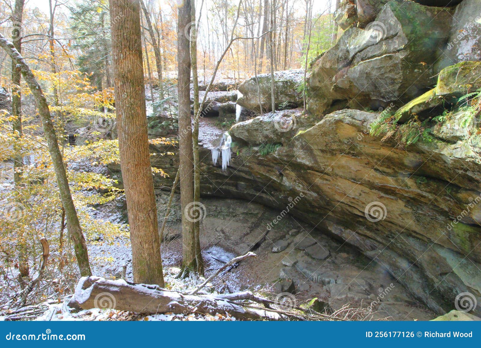 View of Hemlock Cliffs in Autumn after a Light Snow, Indiana Stock ...