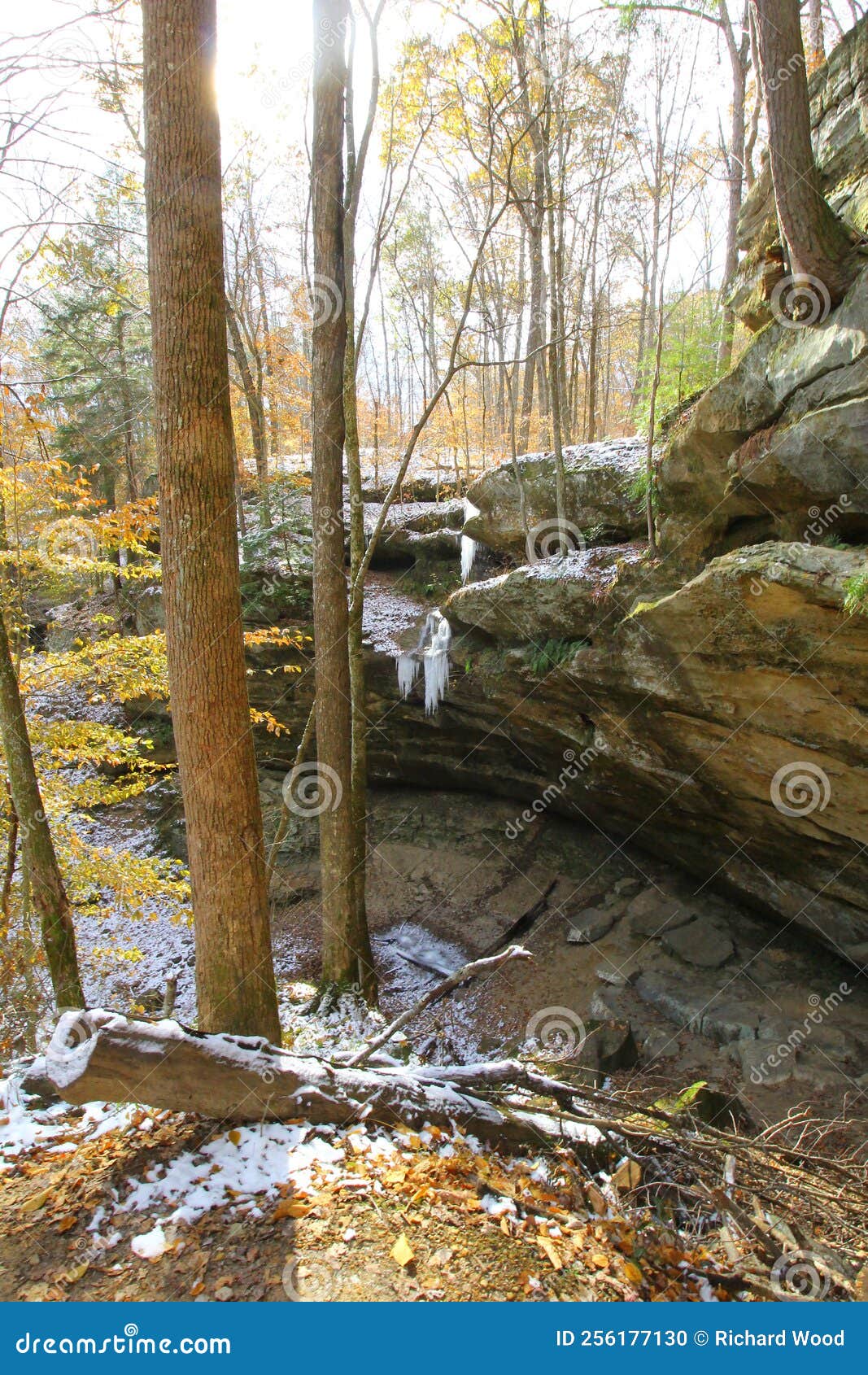View of Hemlock Cliffs in Autumn after a Light Snow, Indiana Stock ...