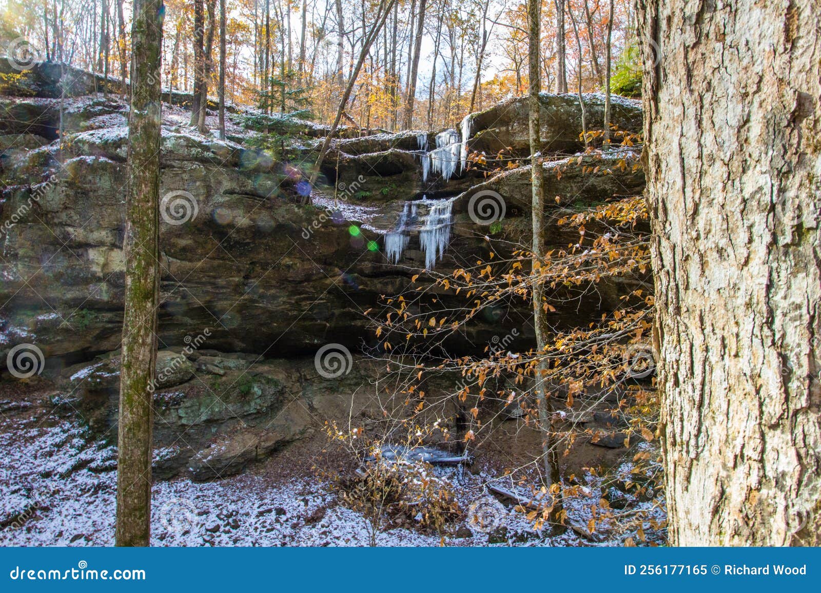 View of Hemlock Cliffs in Autumn after a Light Snow, Indiana Stock ...