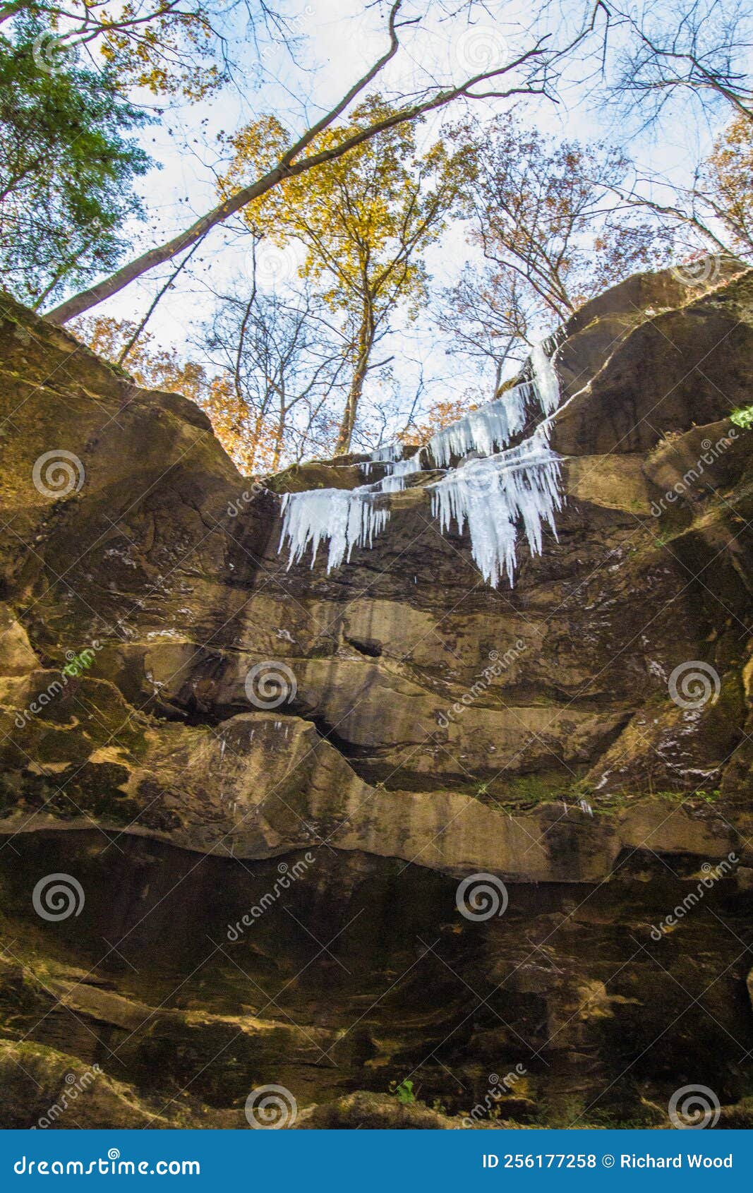 View of Hemlock Cliffs in Autumn after a Light Snow, Indiana Stock ...