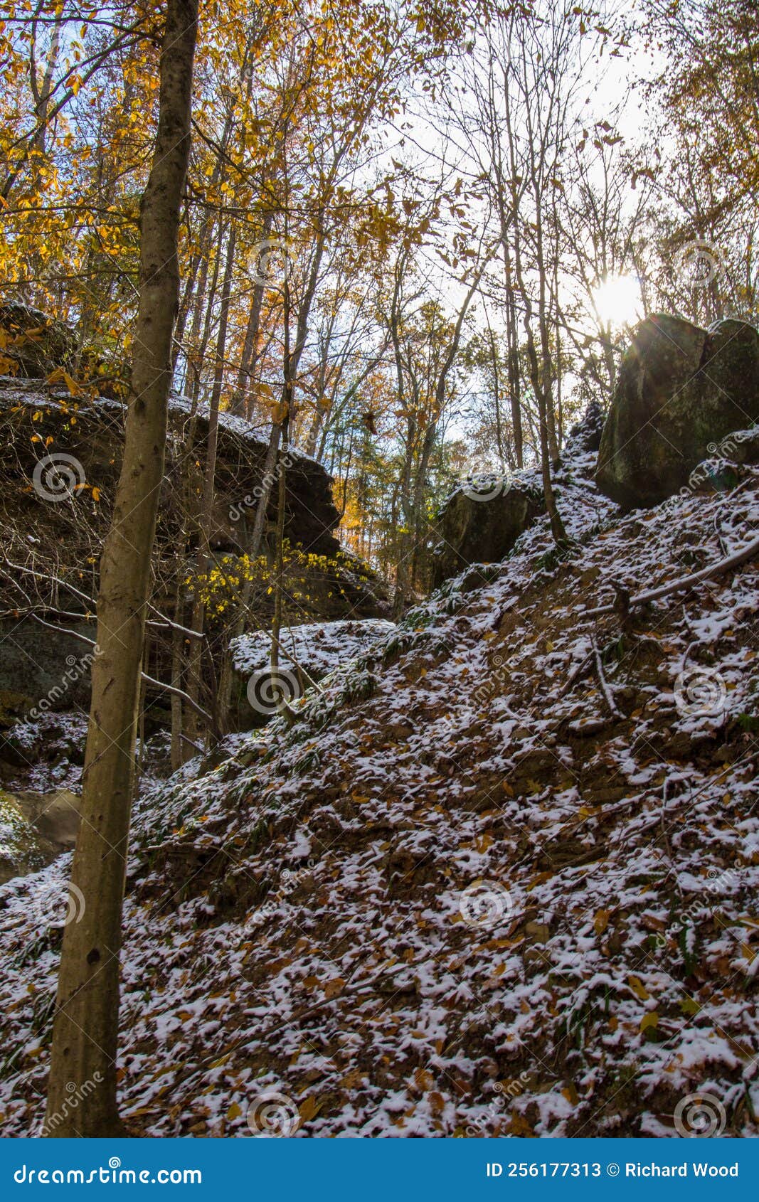 View of Hemlock Cliffs in Autumn after a Light Snow, Indiana Stock ...