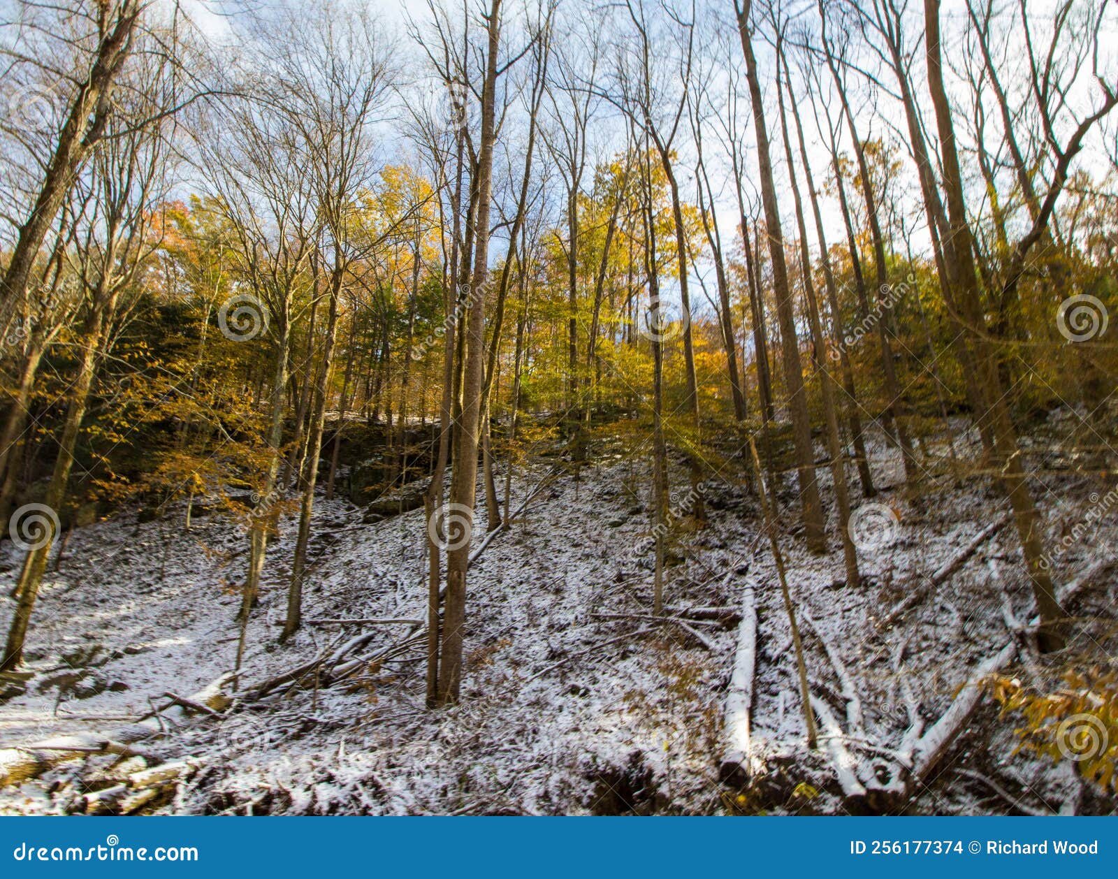 View of Hemlock Cliffs in Autumn after a Light Snow, Indiana Stock ...