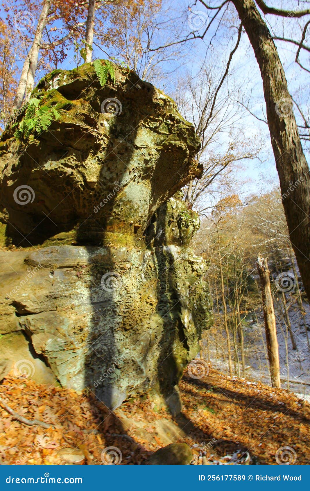 View of Hemlock Cliffs in Autumn after a Light Snow, Indiana Stock ...