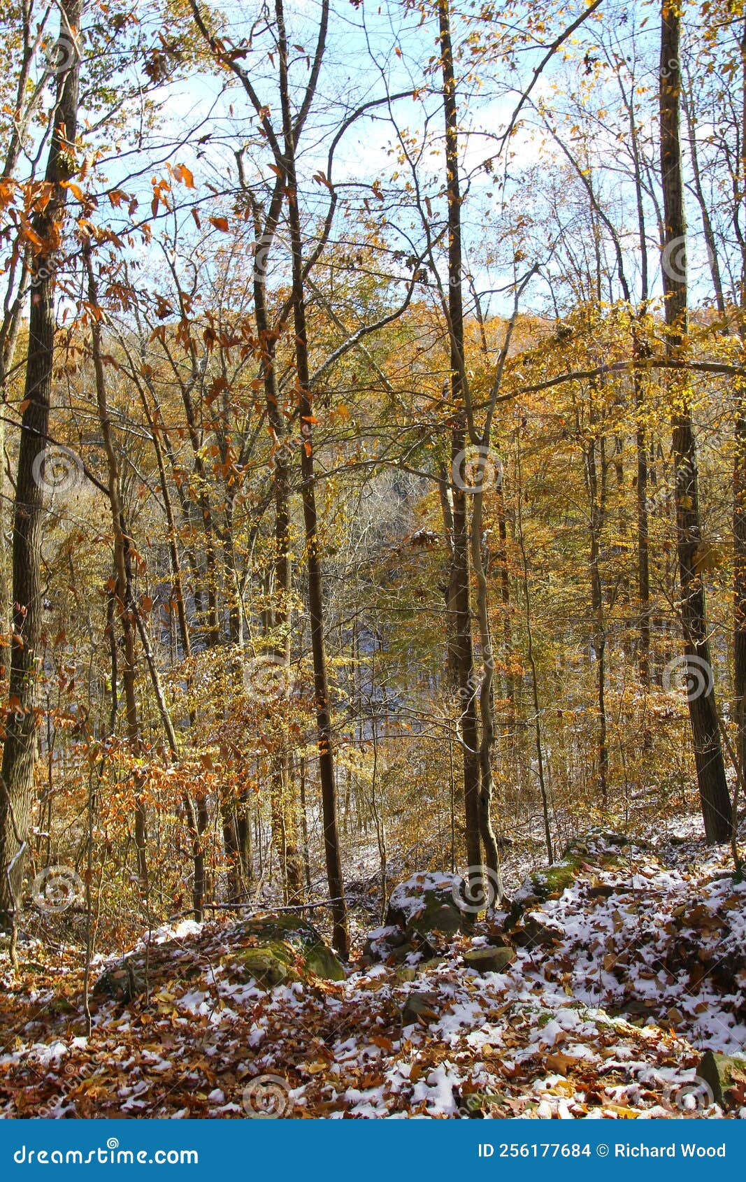 View of Hemlock Cliffs in Autumn after a Light Snow, Indiana Stock ...