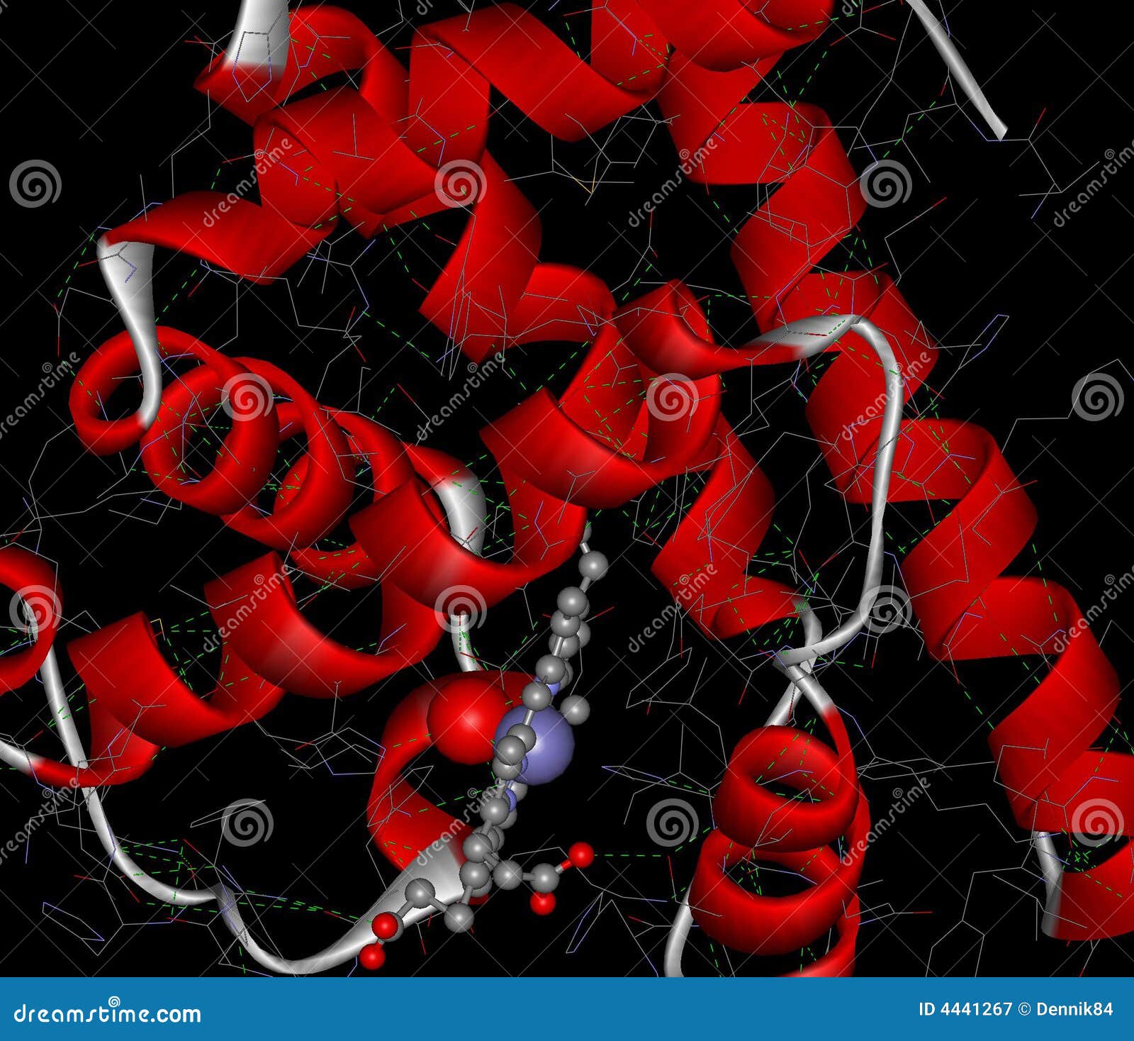 Hemoglobin stock image. Image of model, molecule, structure - 4441267