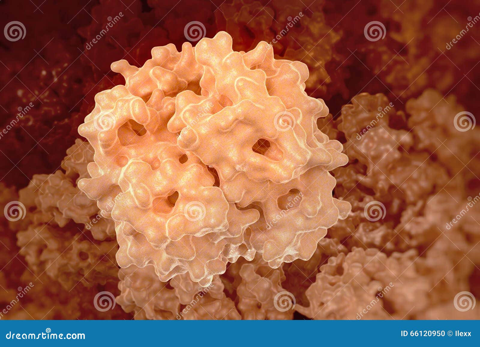 Hemoglobin stock illustration. Illustration of globular - 66120950