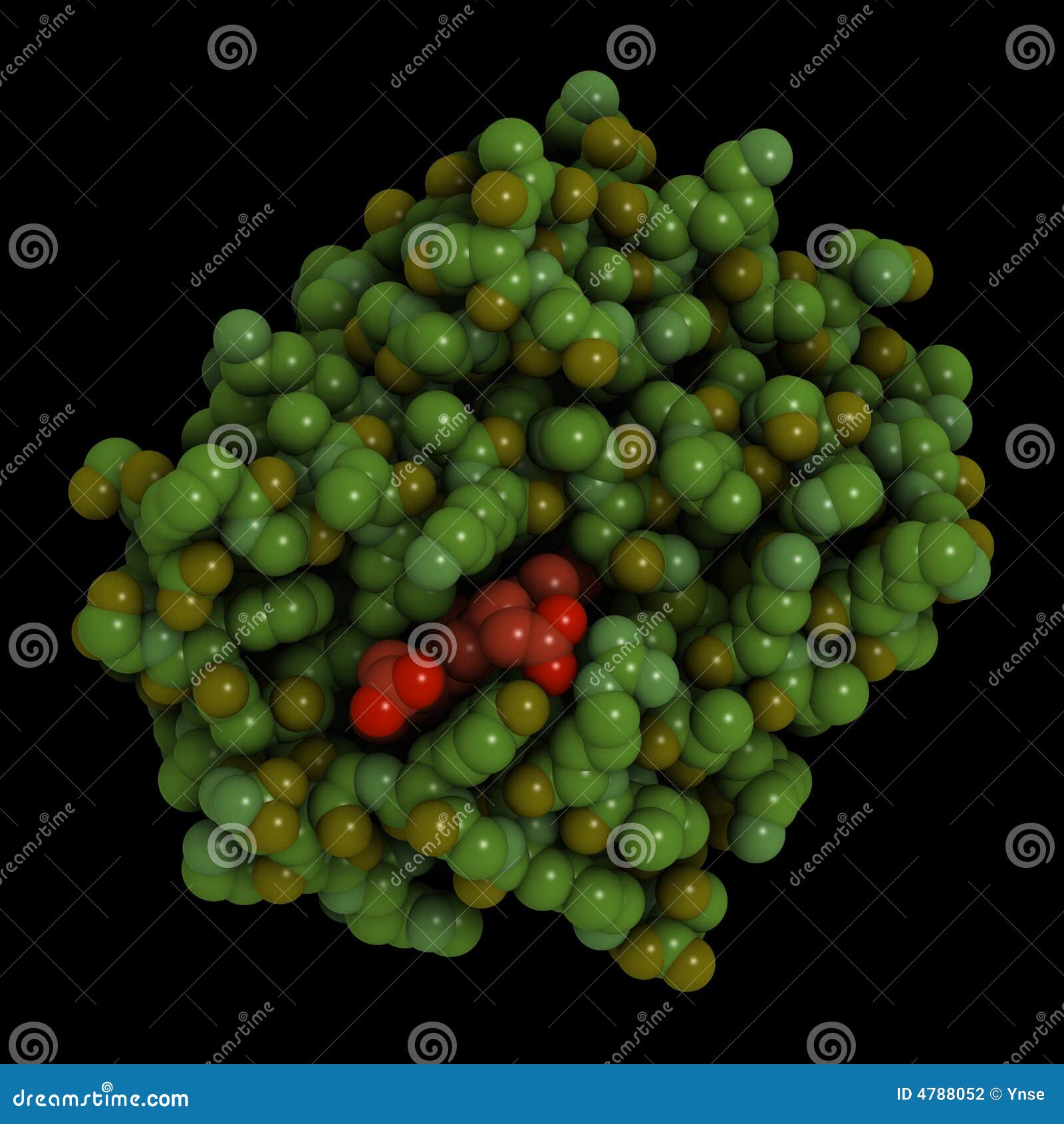 Hemoglobin molecule stock illustration. Illustration of molecular - 4788052