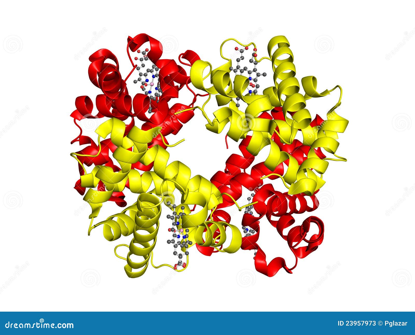 Hemoglobin structure stock illustration. Illustration of breathing ...