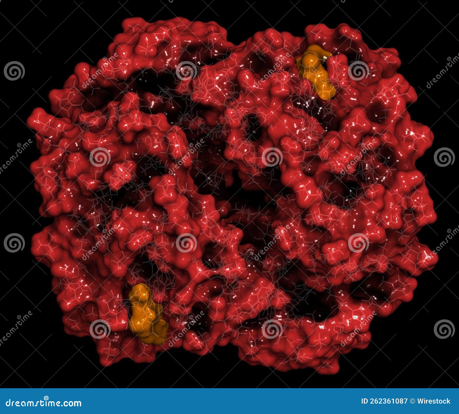 Hemoglobin (human, Hb) Protein Molecule, Chemical Structure. Royalty ...