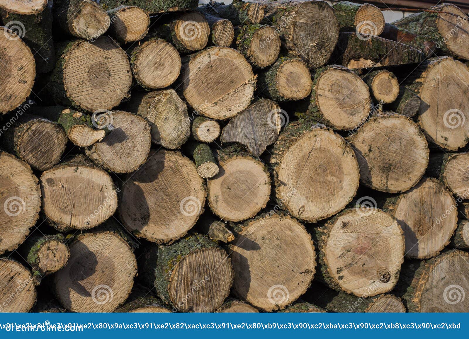 Hemp for jobs on wood stock image. Image of landscape - 104508955