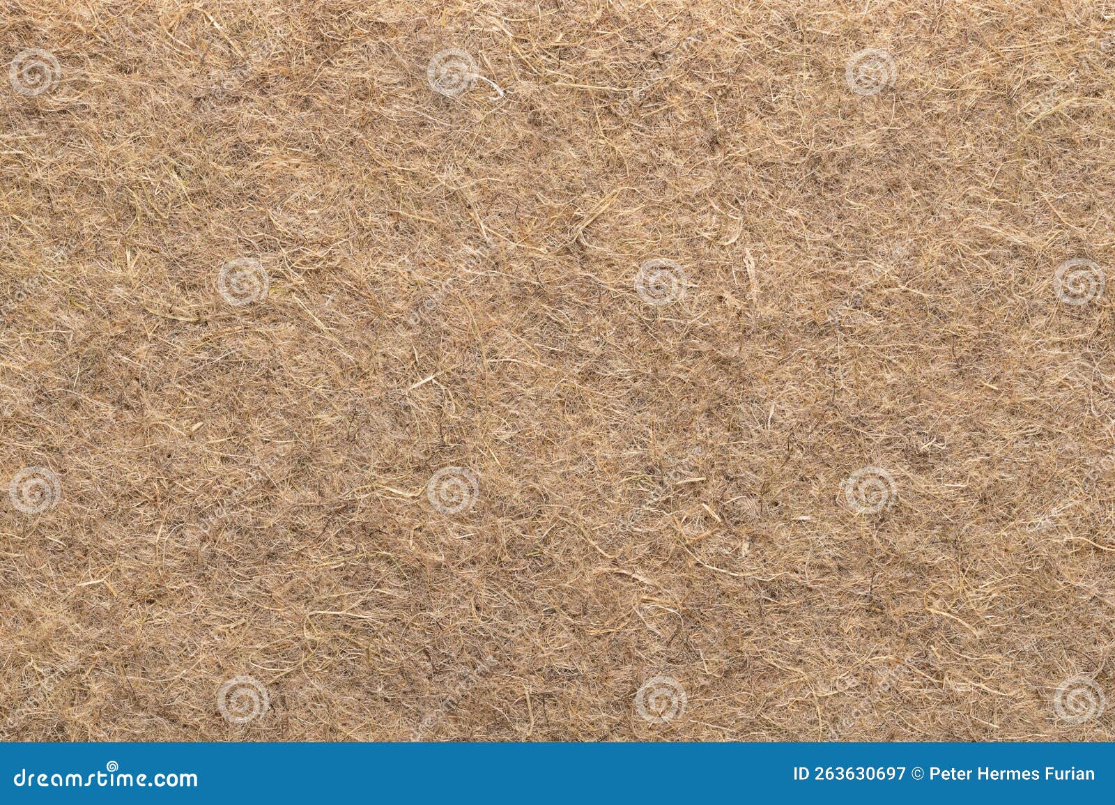 Hemp Mat, Surface and Background, Growth Medium for Growing Microgreens ...