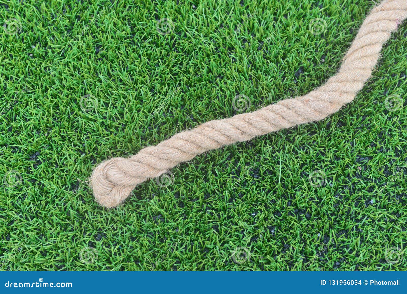 Hemp rope on the grass stock photo. Image of hemp, handhold - 131956034