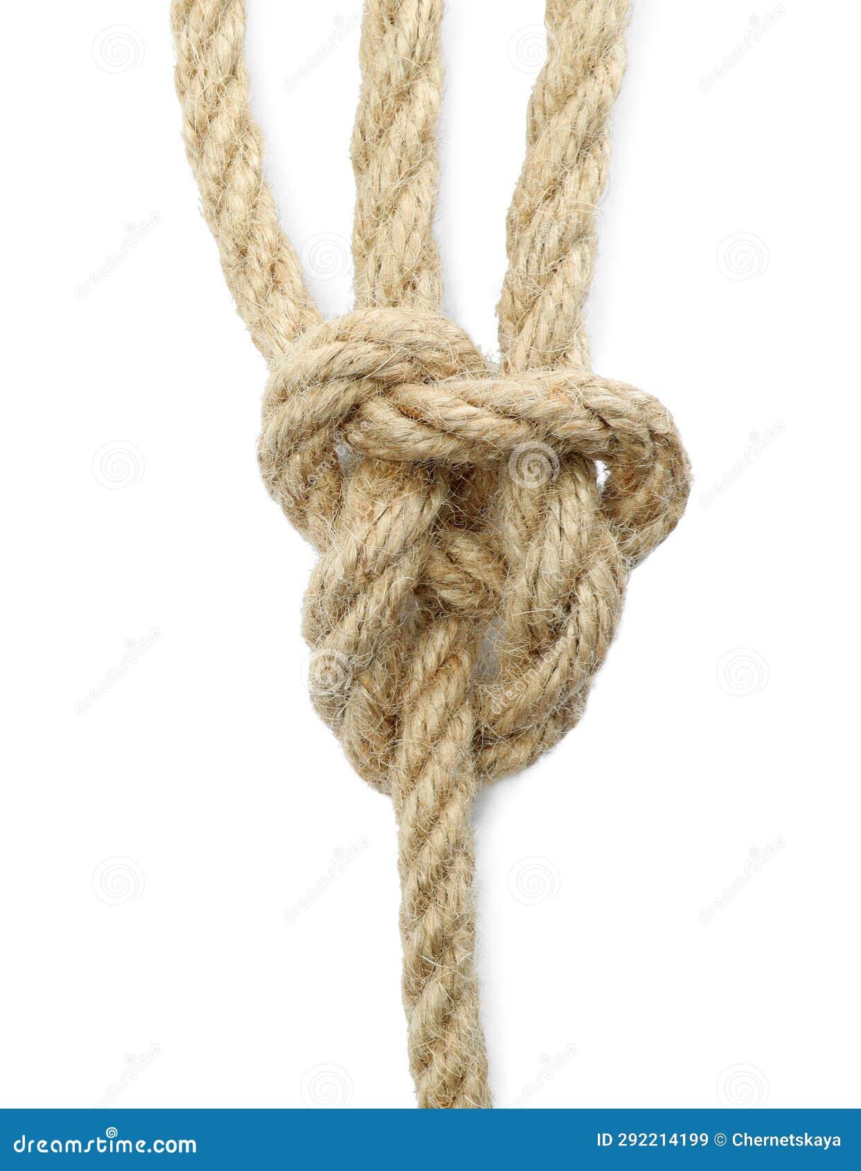 Hemp Rope with Knot Isolated on White, Top View Stock Image - Image of ...
