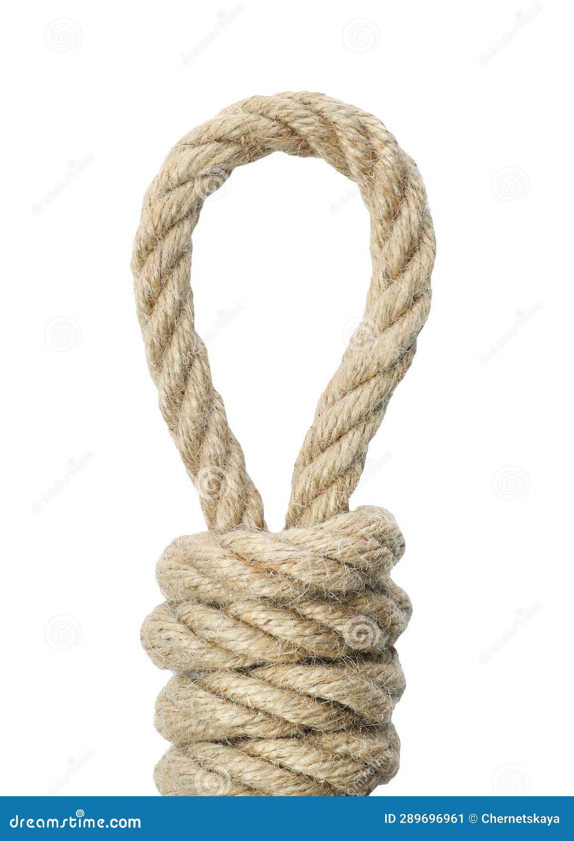 Hemp Rope with Loop Isolated on White, Top View Stock Image - Image of ...