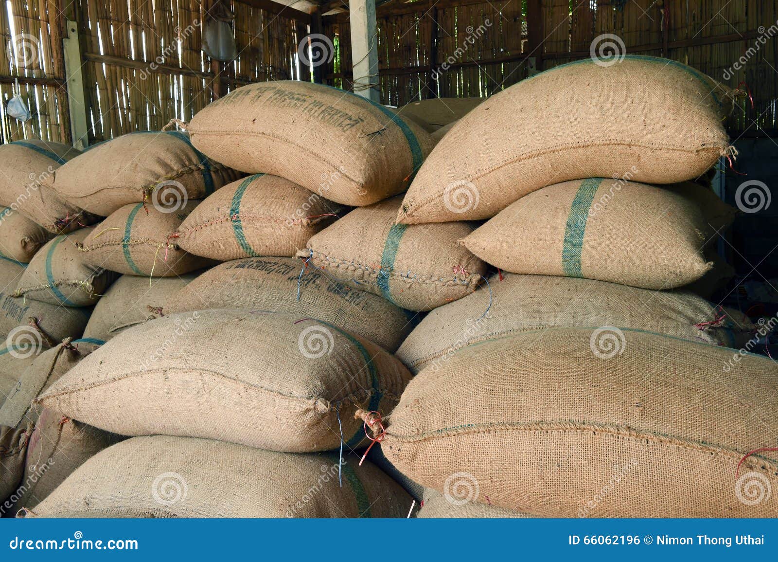 Hemp sacks containing rice stock photo. Image of food - 66062196