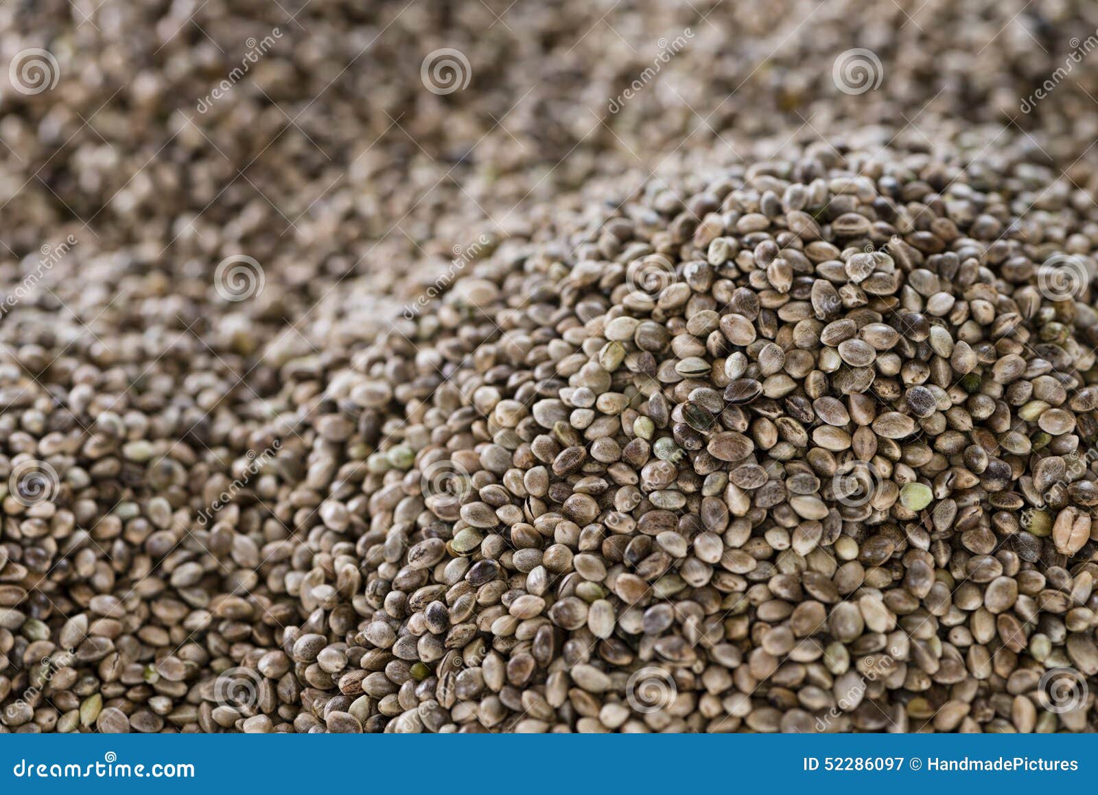 Hemp Seed background stock image. Image of samen, ingredient - 52286097