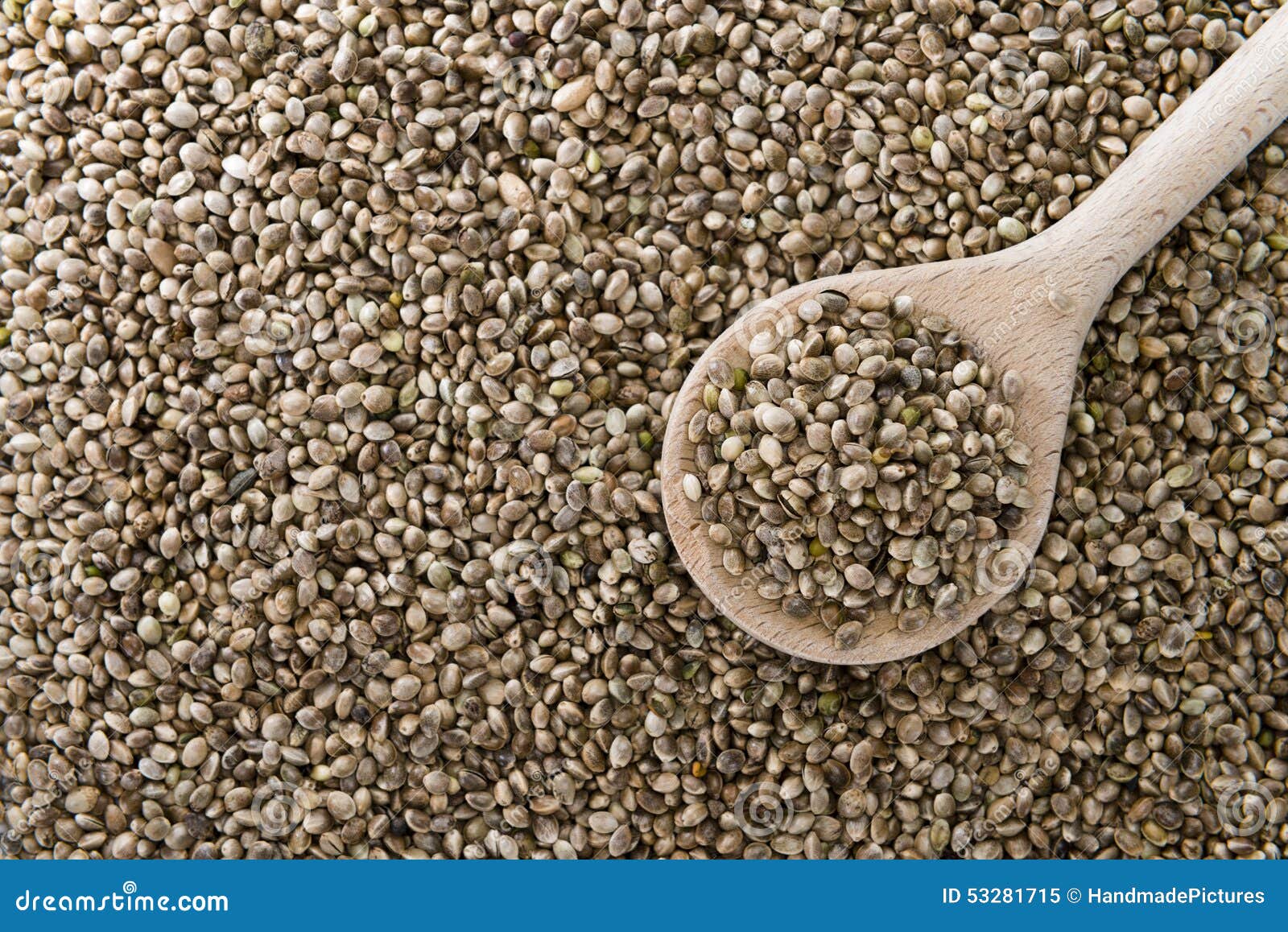 Hemp Seed background stock image. Image of plant, forbidden - 53281715