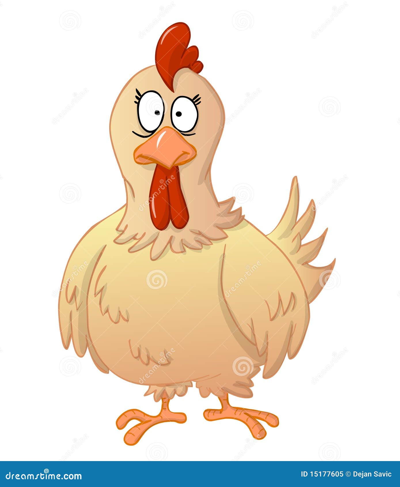 Hen stock illustration. Illustration of white, rooster - 15177605