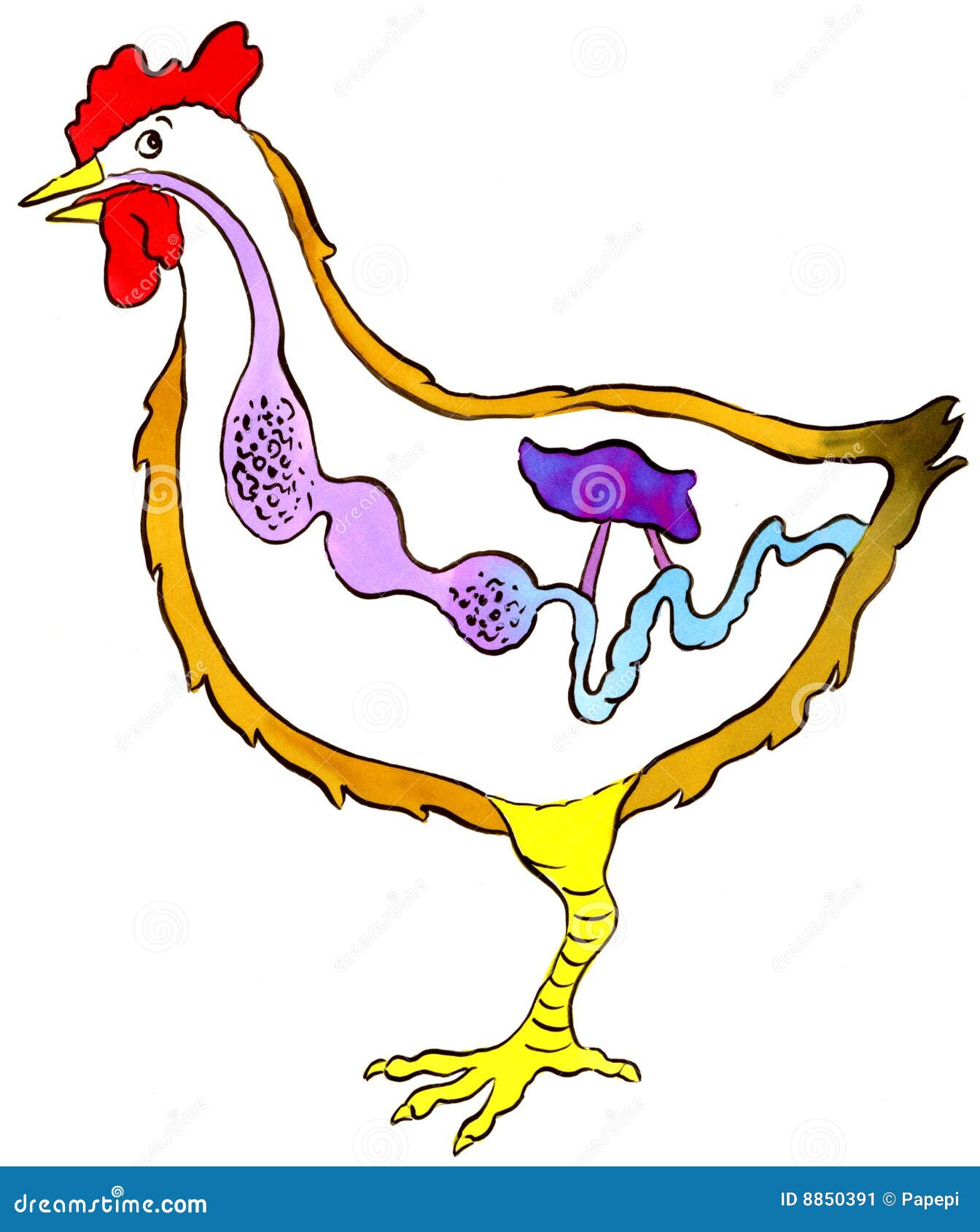 Hen stock illustration. Illustration of didactic, animal - 8850391