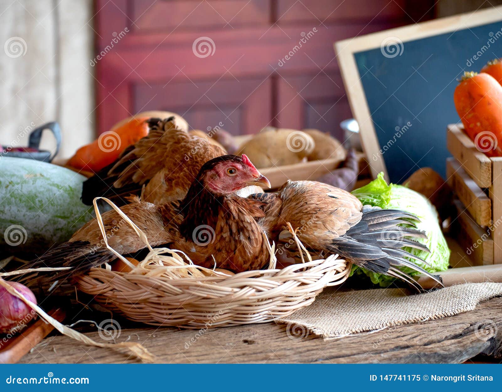 Hen in Basket with Eggs among the Various Types of Vegetable on Table ...