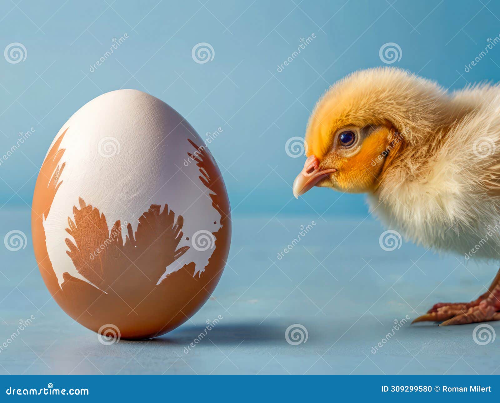 Hen Chicklet Looking at Painted Easter Egg Stock Illustration ...