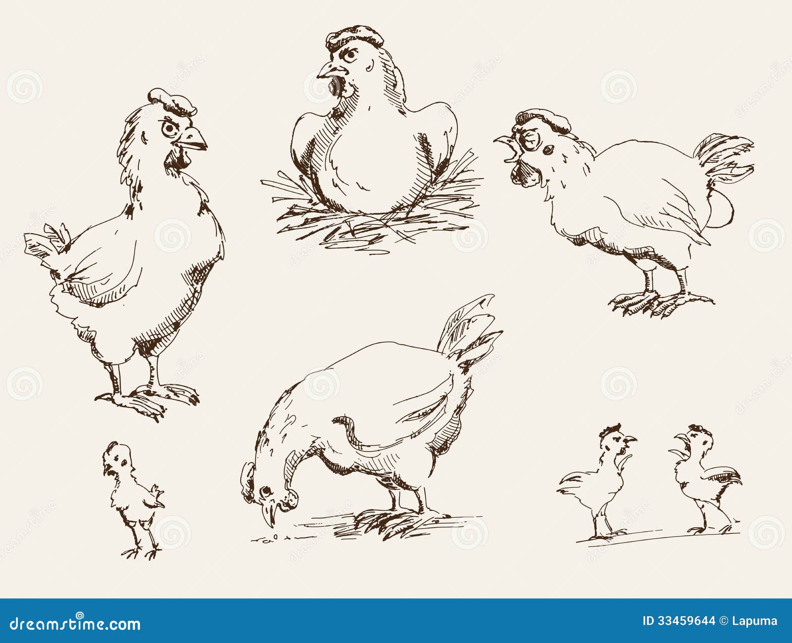 Hen and chicks stock vector. Illustration of baby, birth - 33459644