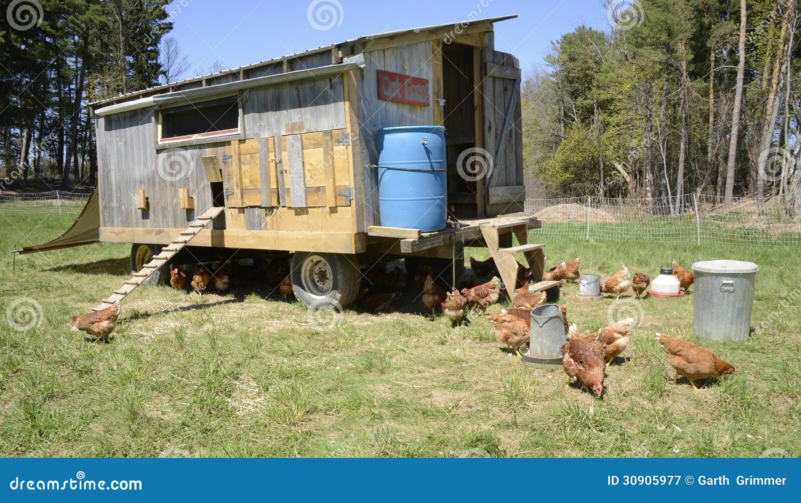 A hen coop stock image. Image of farm, corn, ladder, feeding - 30905977