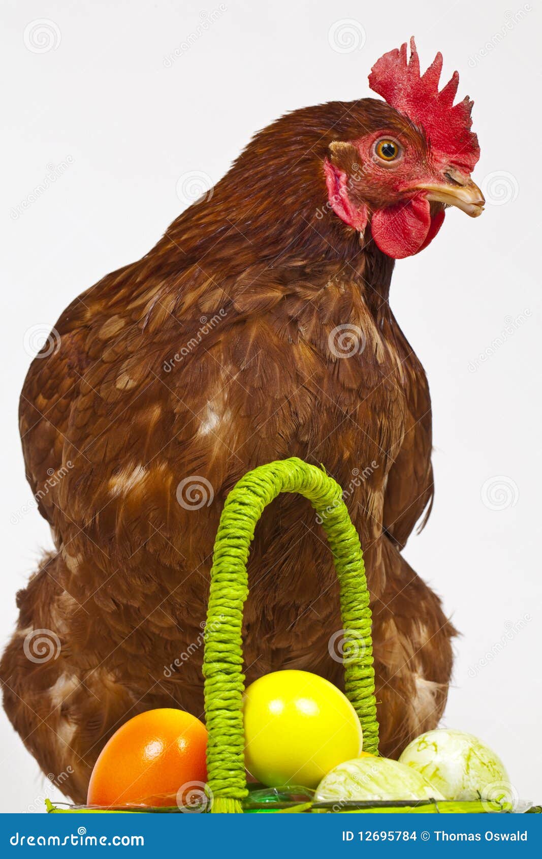Hen with easter eggs stock photo. Image of season, chicken - 12695784