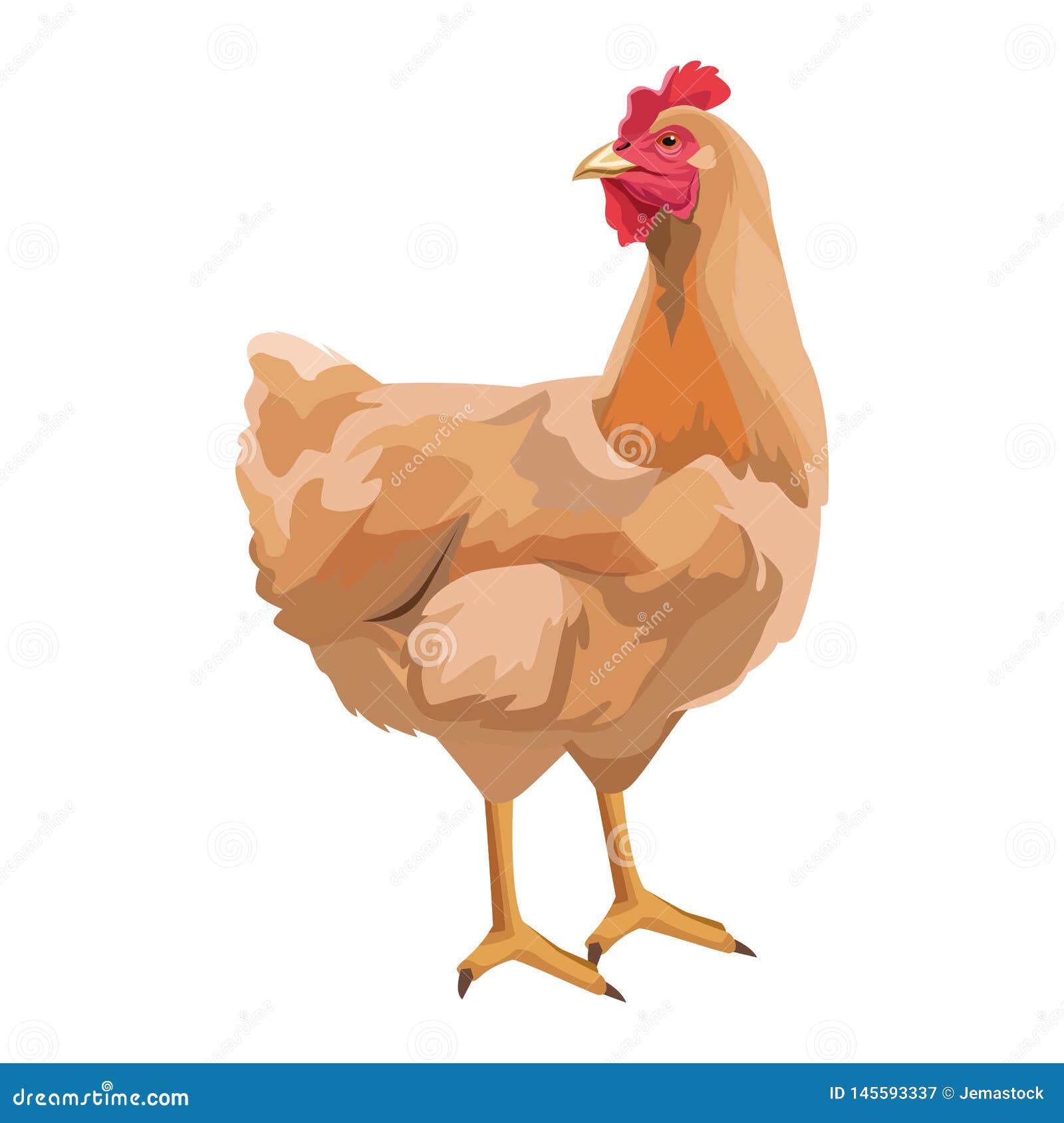 Hen icon cartoon stock vector. Illustration of rural - 145593337