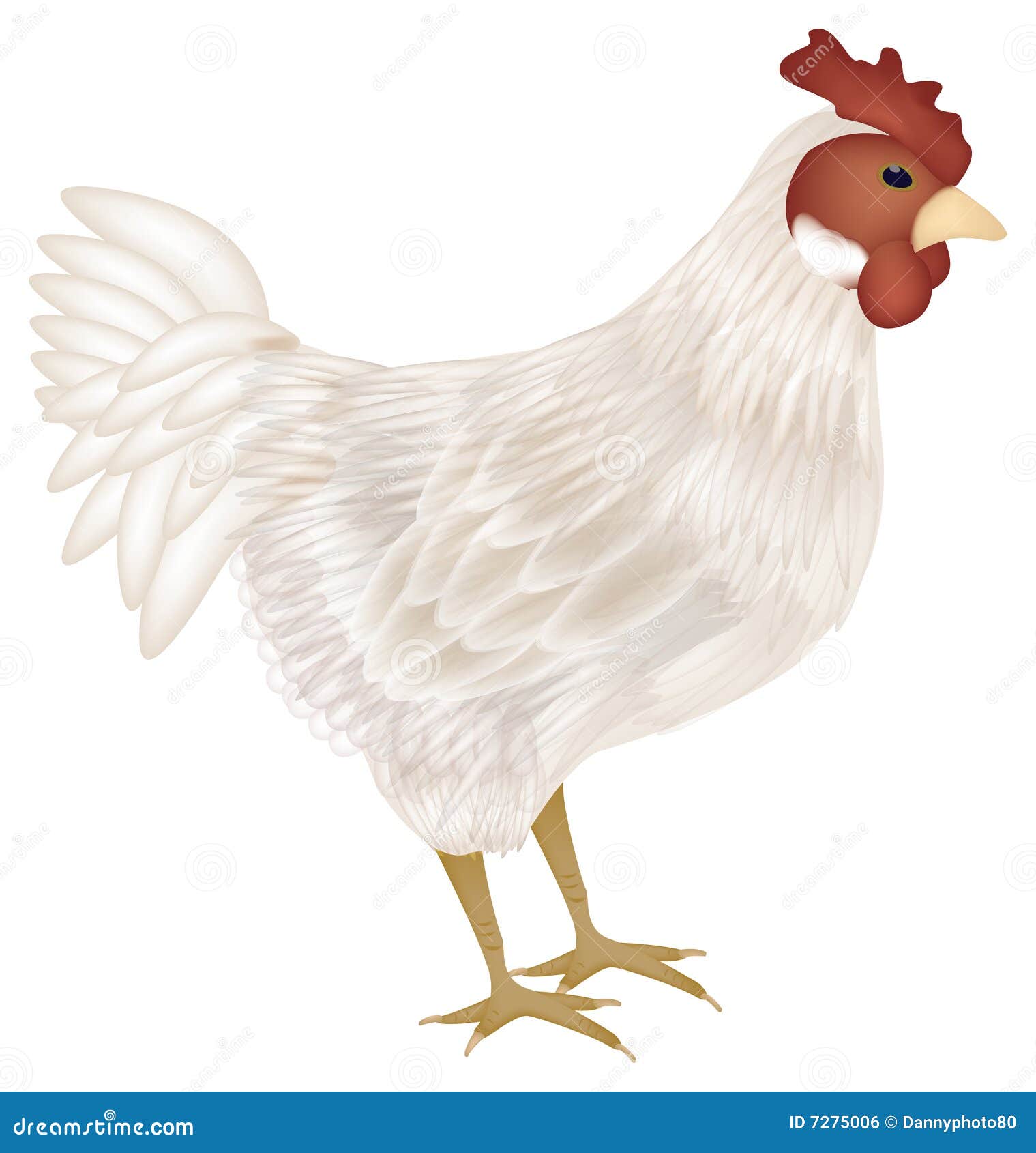 Hen Illustraiton Stock Illustrations – 6 Hen Illustraiton Stock ...