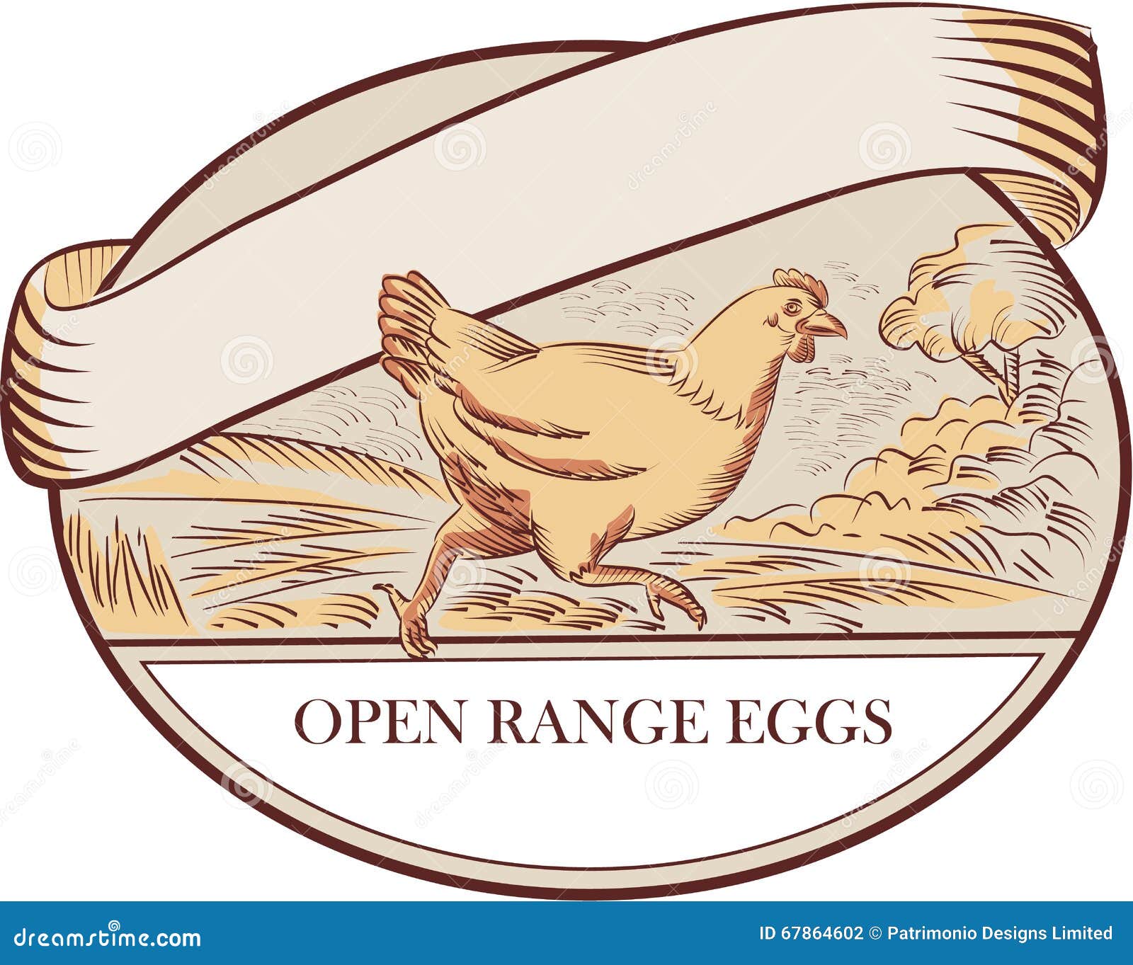 Hen Running Open Range Eggs Oval Drawing Vector Illustration ...