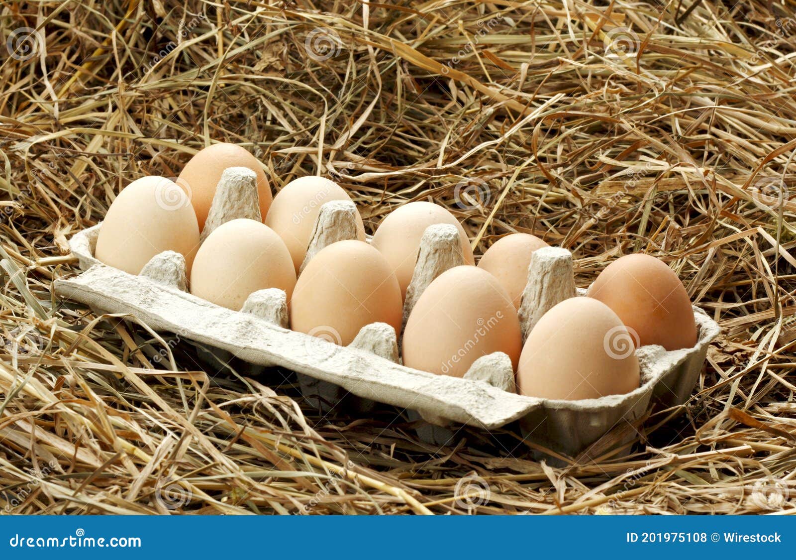 Hen S Eggs in a Pack on a Haystack Stock Photo - Image of organic ...