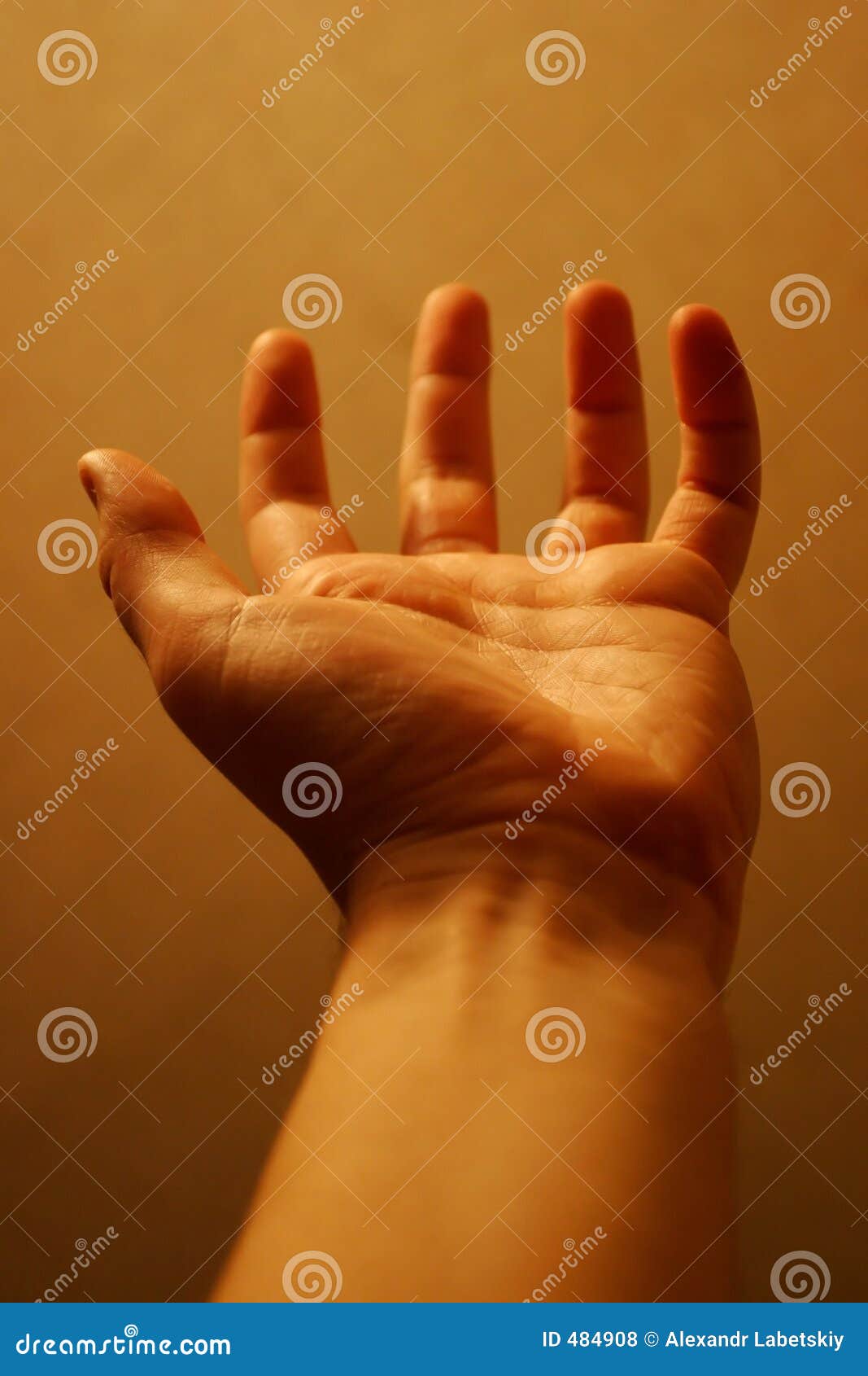 Hend up 2 stock photo. Image of hold, yellow, hand, support - 484908