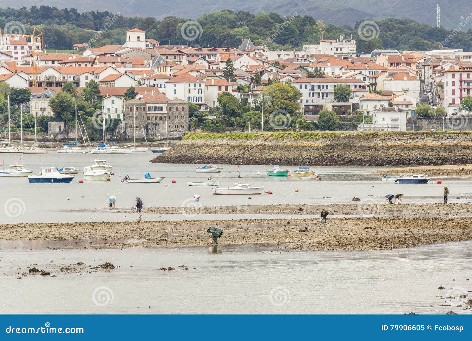 Hendaye, France image éditorial. Image du basque, pyrenees - 79906605