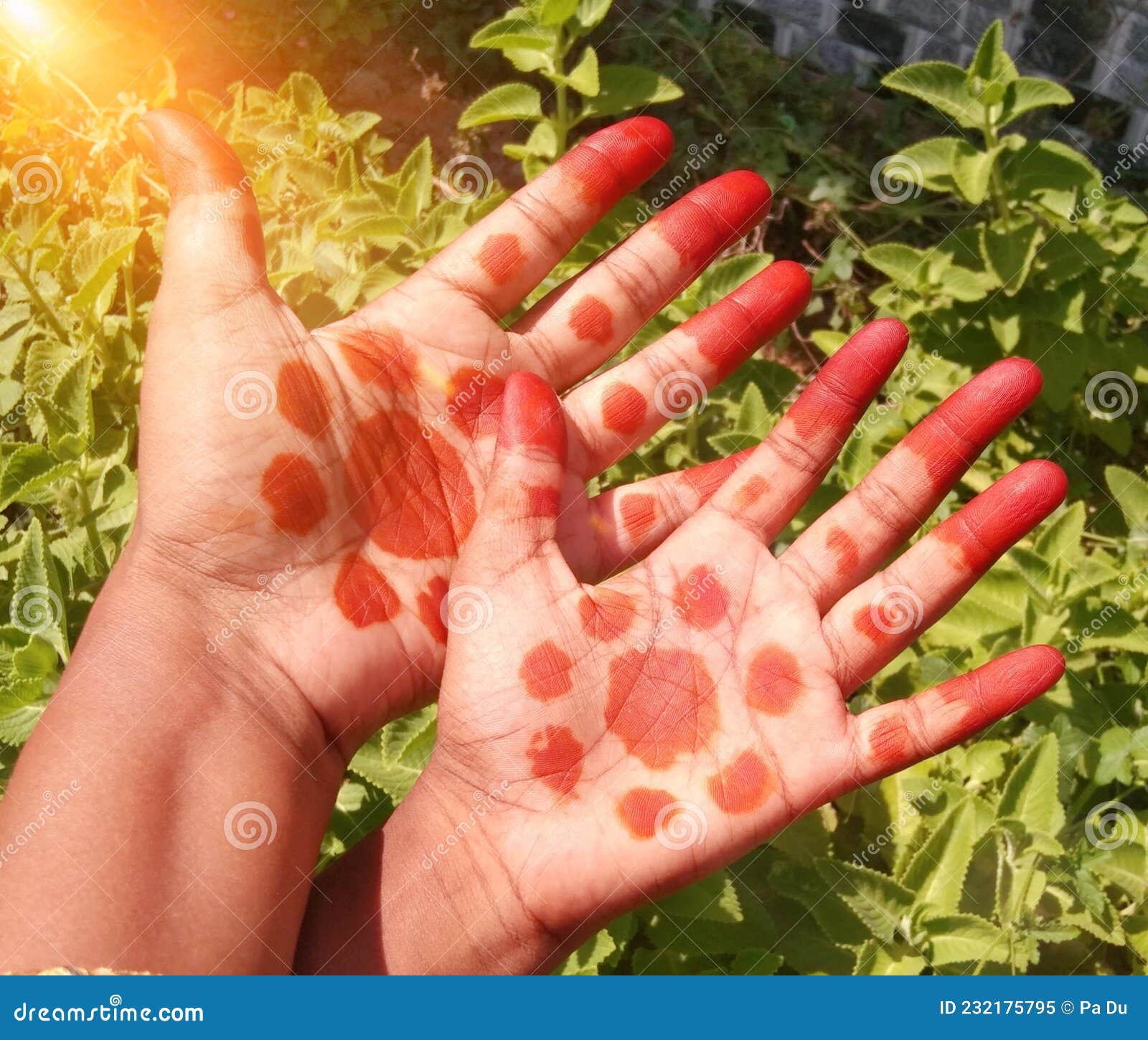 Henna Applied Hand with Dots Design Stock Image - Image of finger ...