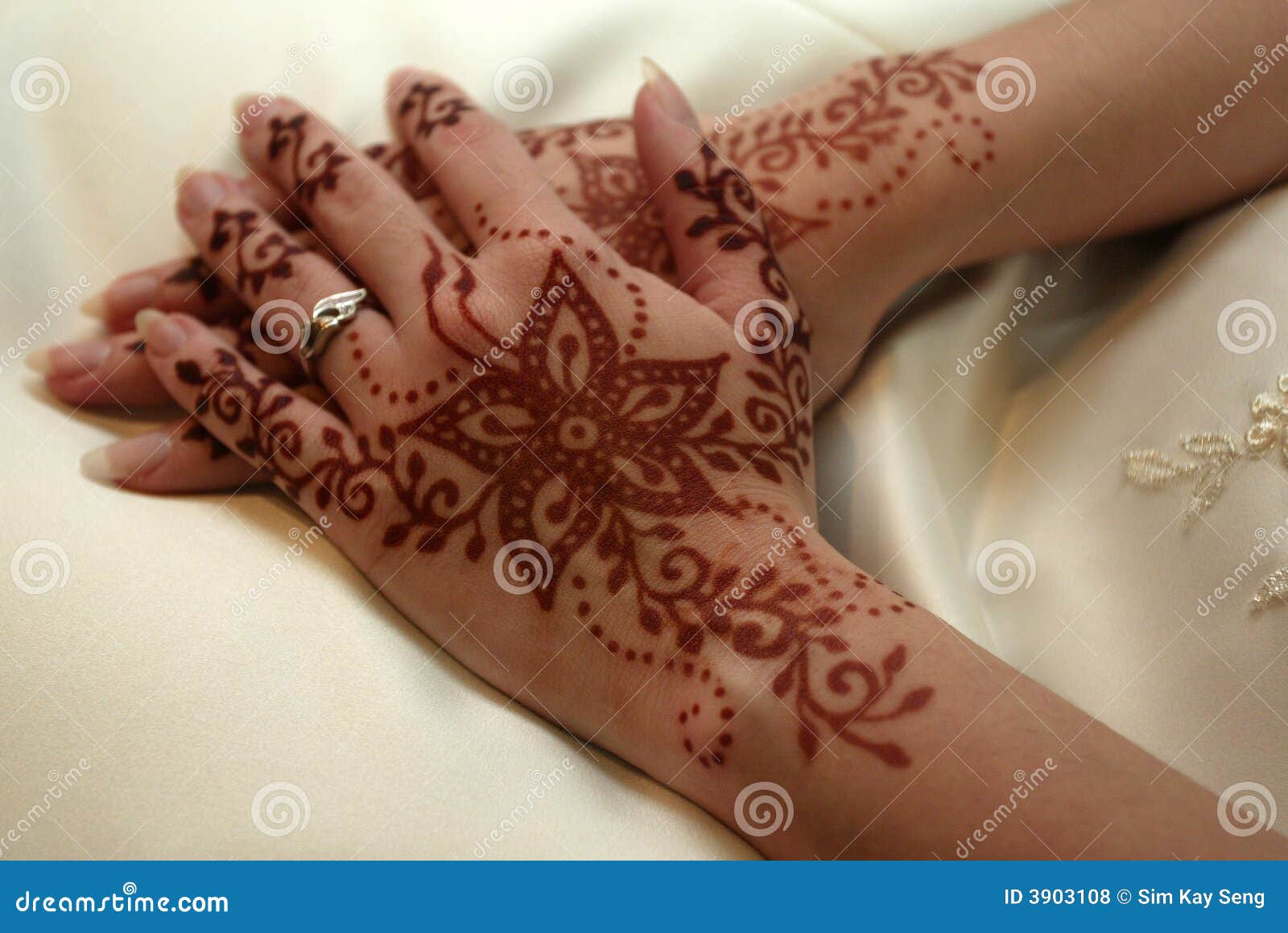 Henna Deco stock photo. Image of artist, decorates, hands - 3903108