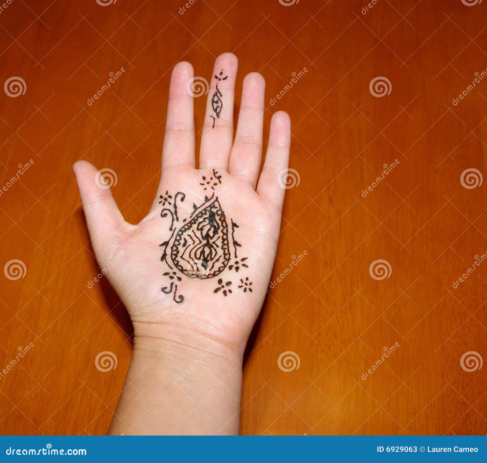 Henna on Hand stock image. Image of hands, flower, pakistani - 6929063