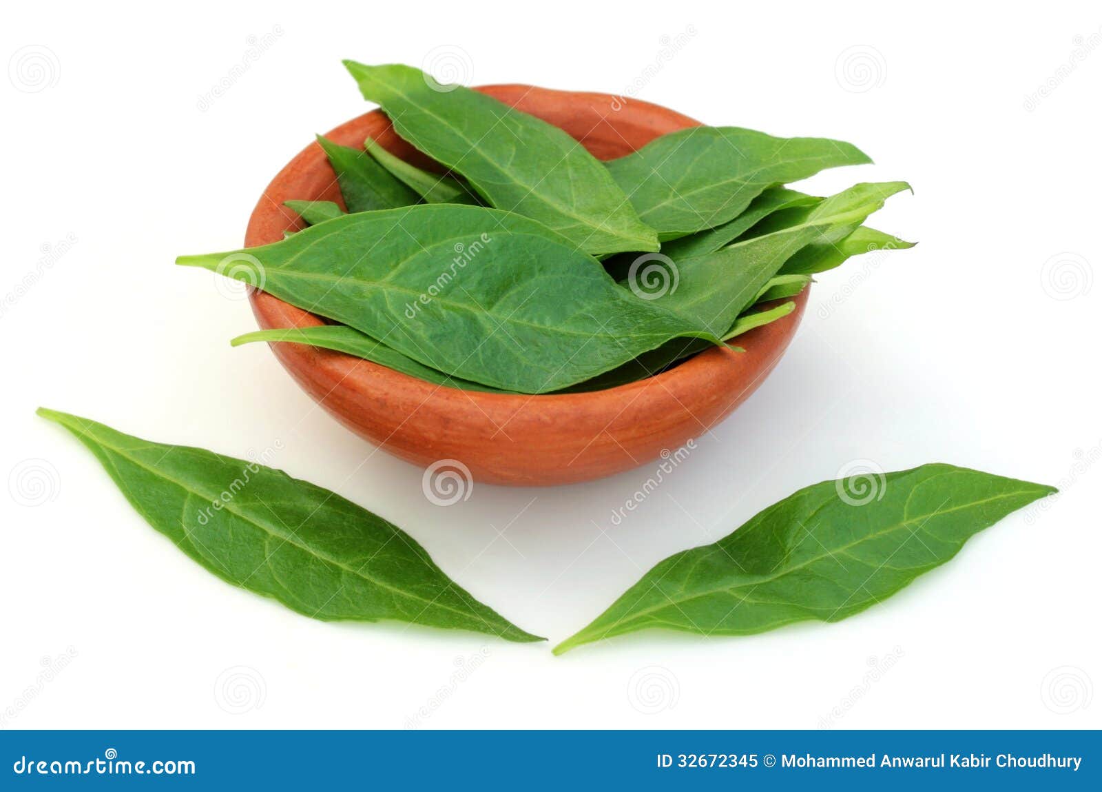 Henna Leaves with a Brown Pot Stock Image - Image of inermis, herbal ...