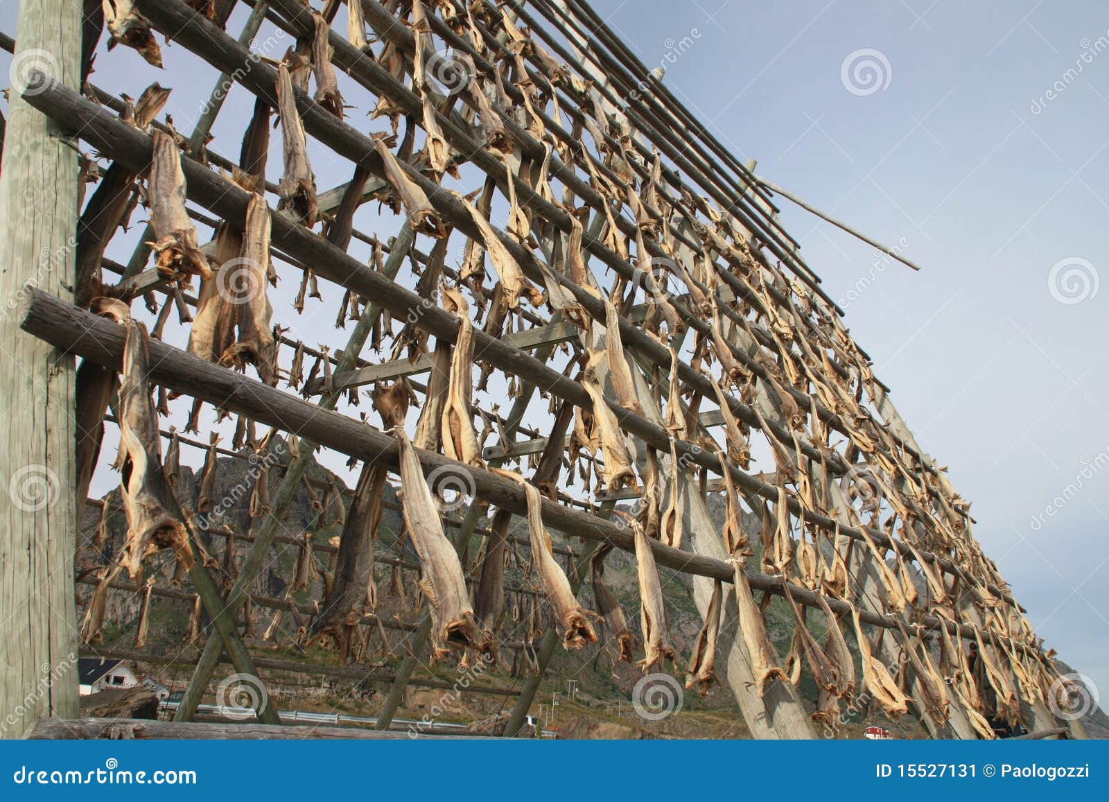 Henningsvaer fish racks stock image. Image of high, light - 15527131