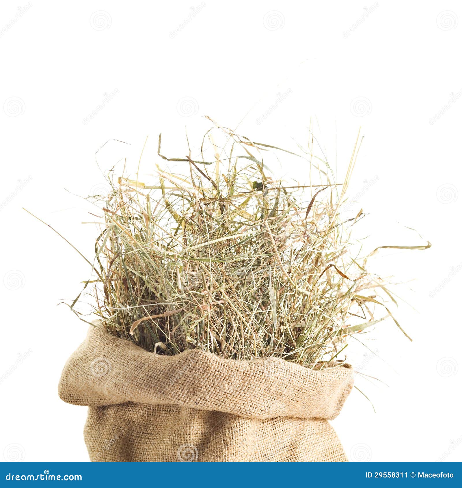 Heno imagen de archivo. Imagen de blanco, animal, cosecha - 29558311