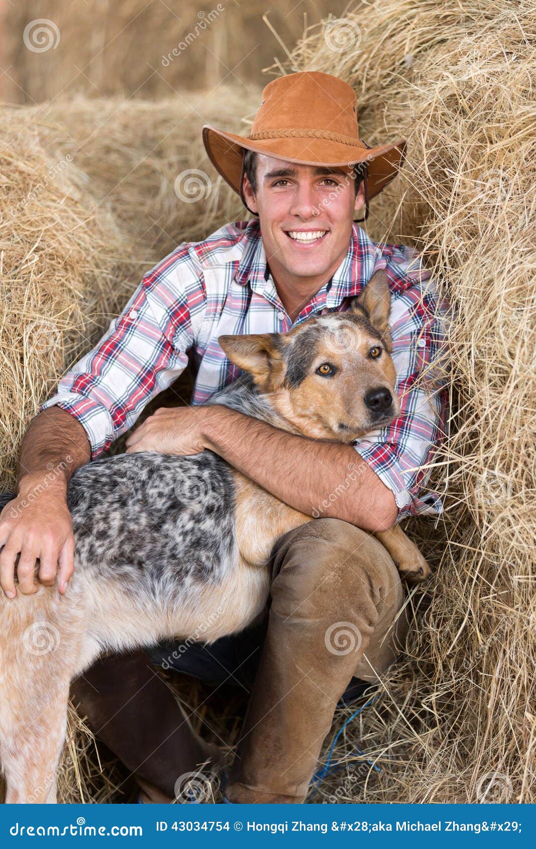 Heno del perro del vaquero foto de archivo. Imagen de casa - 43034754