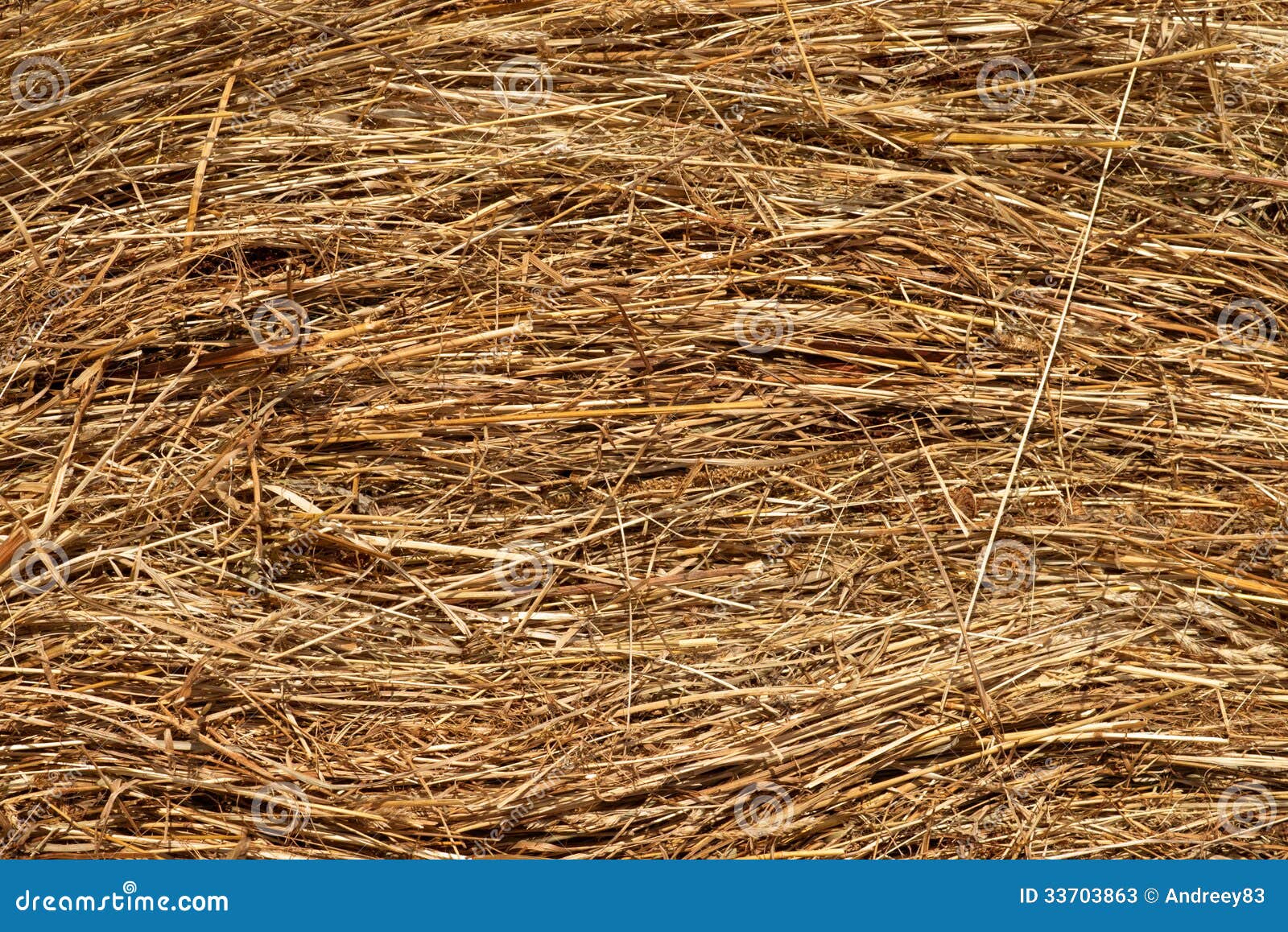 Heno, Textura De La Hierba Seca Imagen de archivo - Imagen de ...