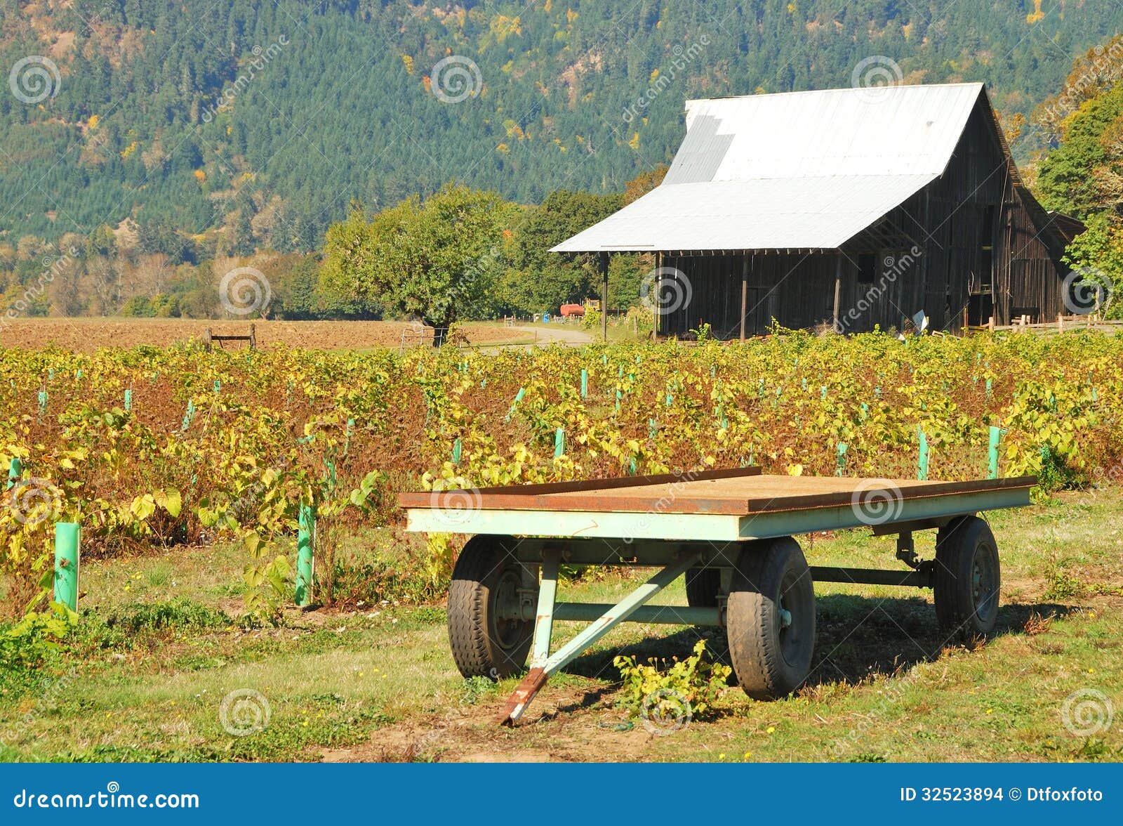 Henrys Barn stock photo. Image of winery, barn, farm - 32523894