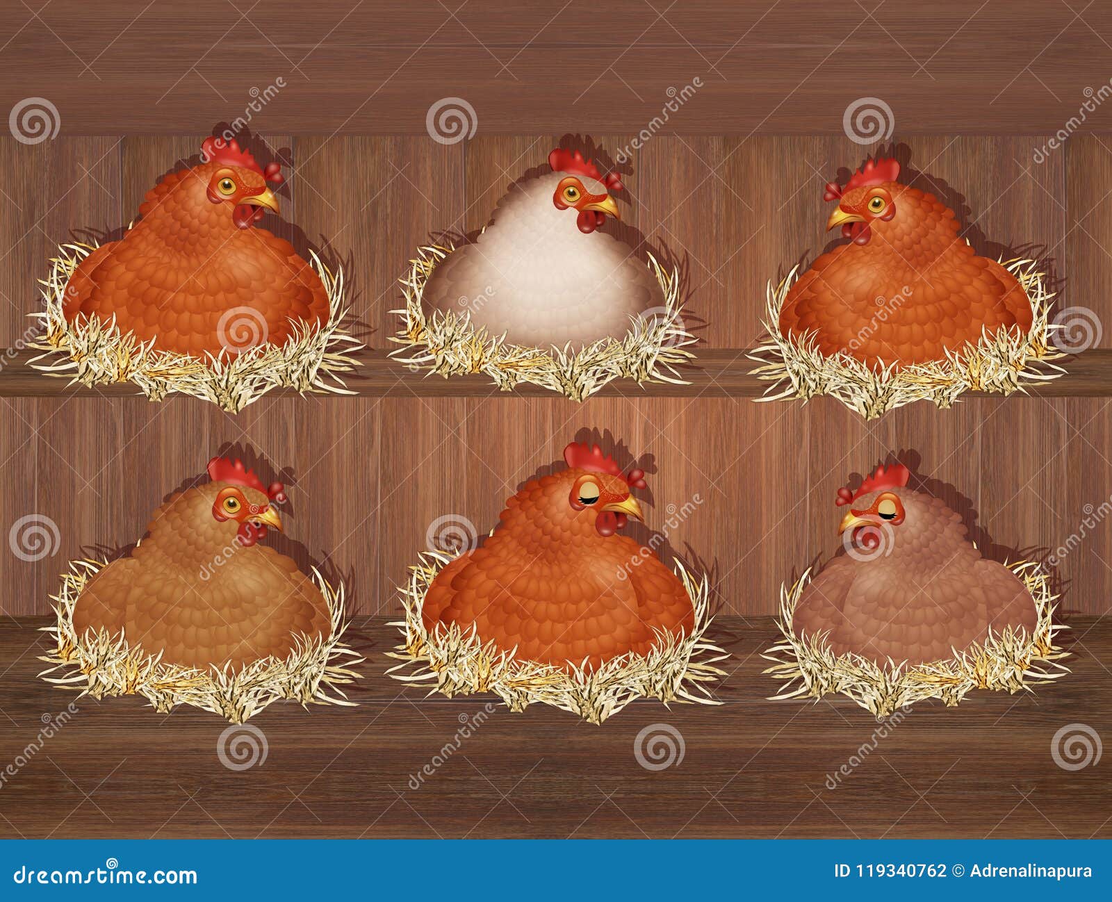 Hens in the hen house stock illustration. Illustration of nests - 119340762